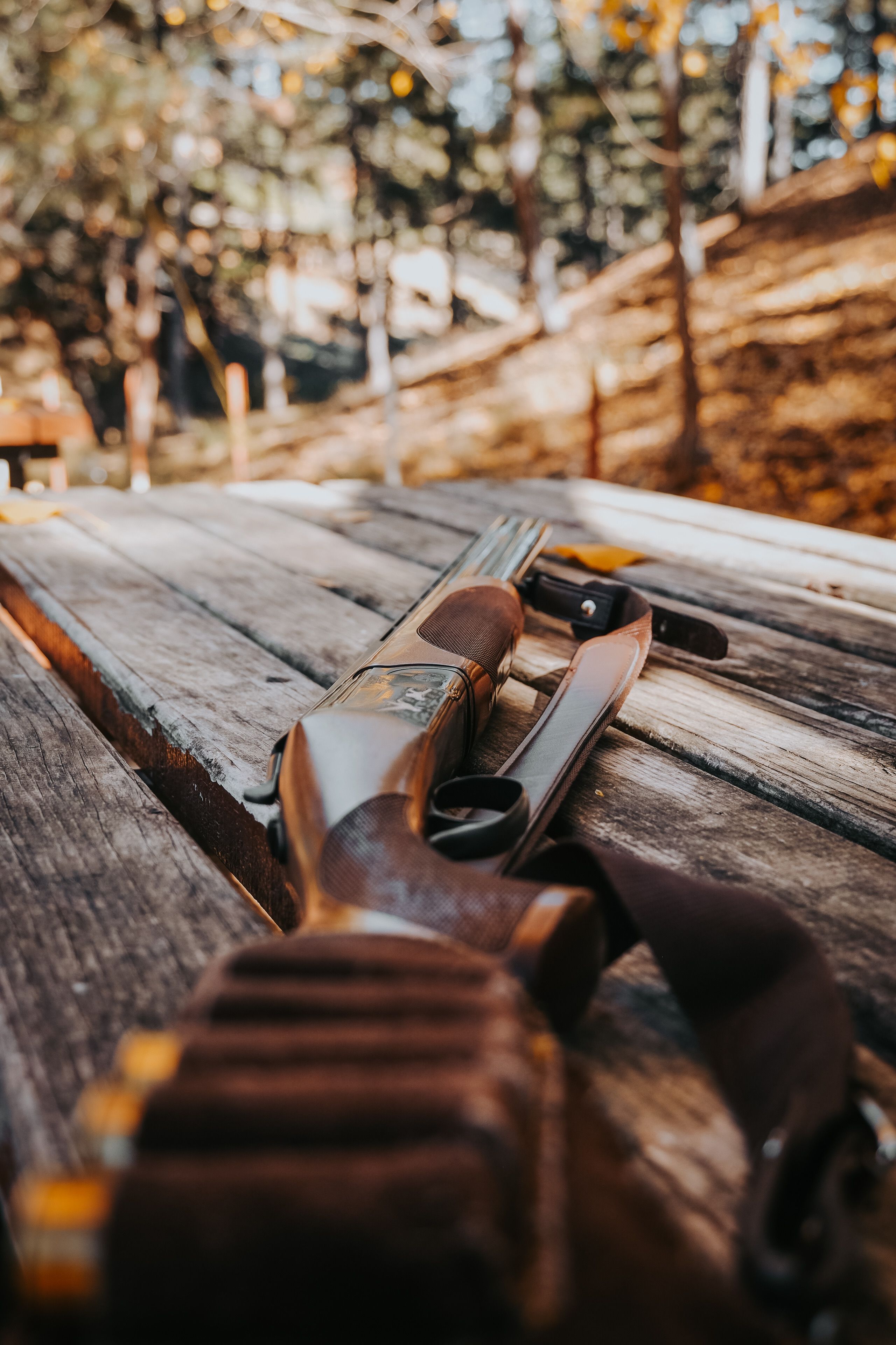 Gun Photos, Download The BEST Free Gun Stock Photos & HD Images