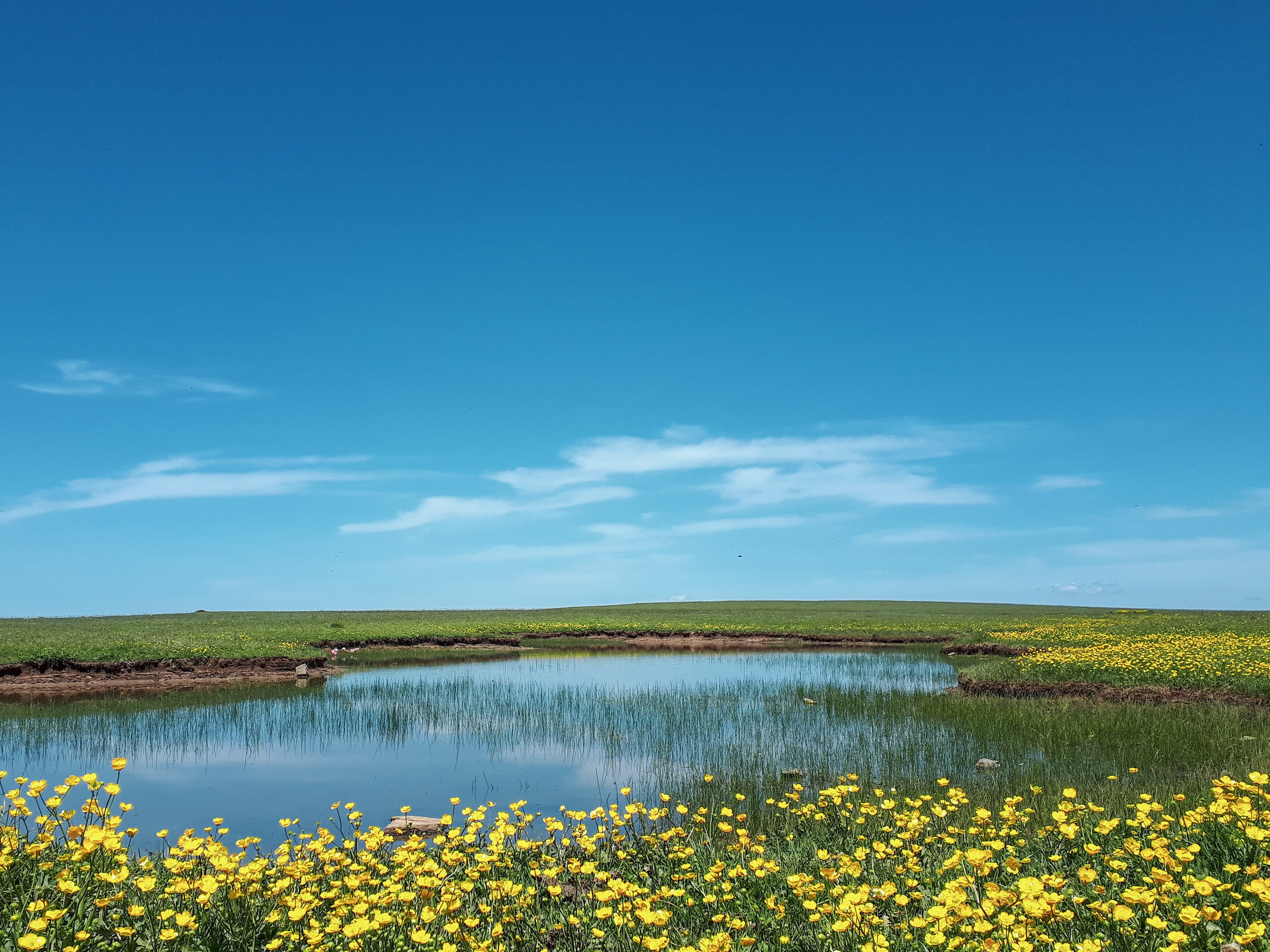Serene Spring Landscape in Vezirköprü, Turkey · Free Stock Photo