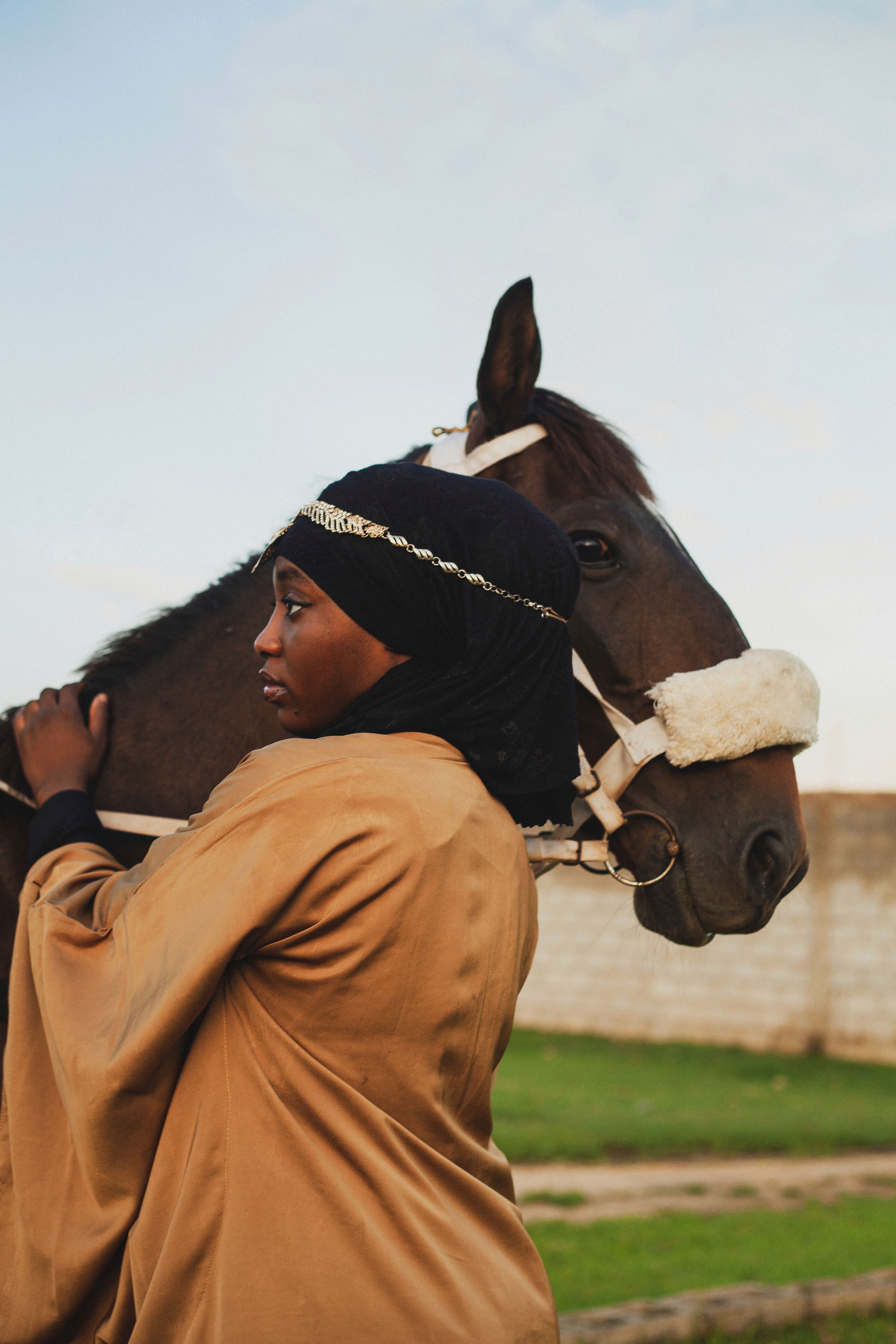 Riding Hourses Photos, Download The BEST Free Riding Hourses Stock ...