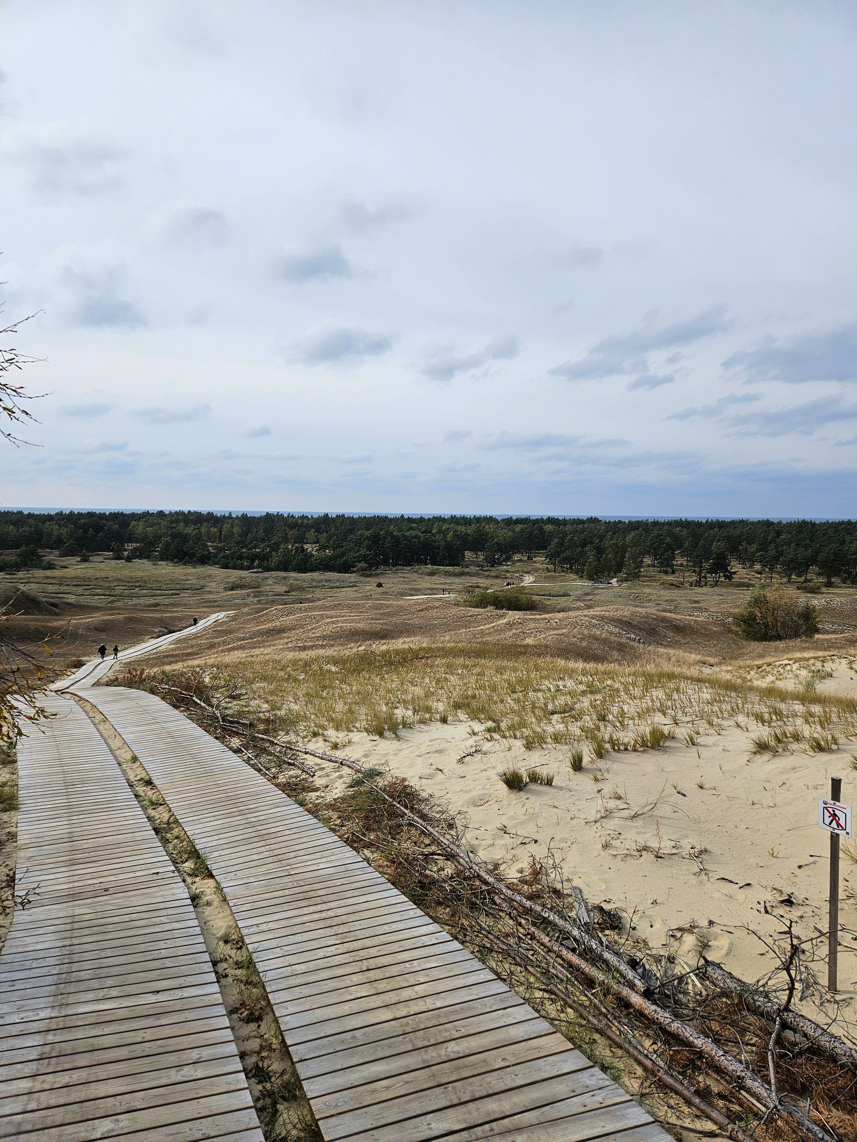 Scenic Wooden Pathway through Sand Dunes · Free Stock Photo