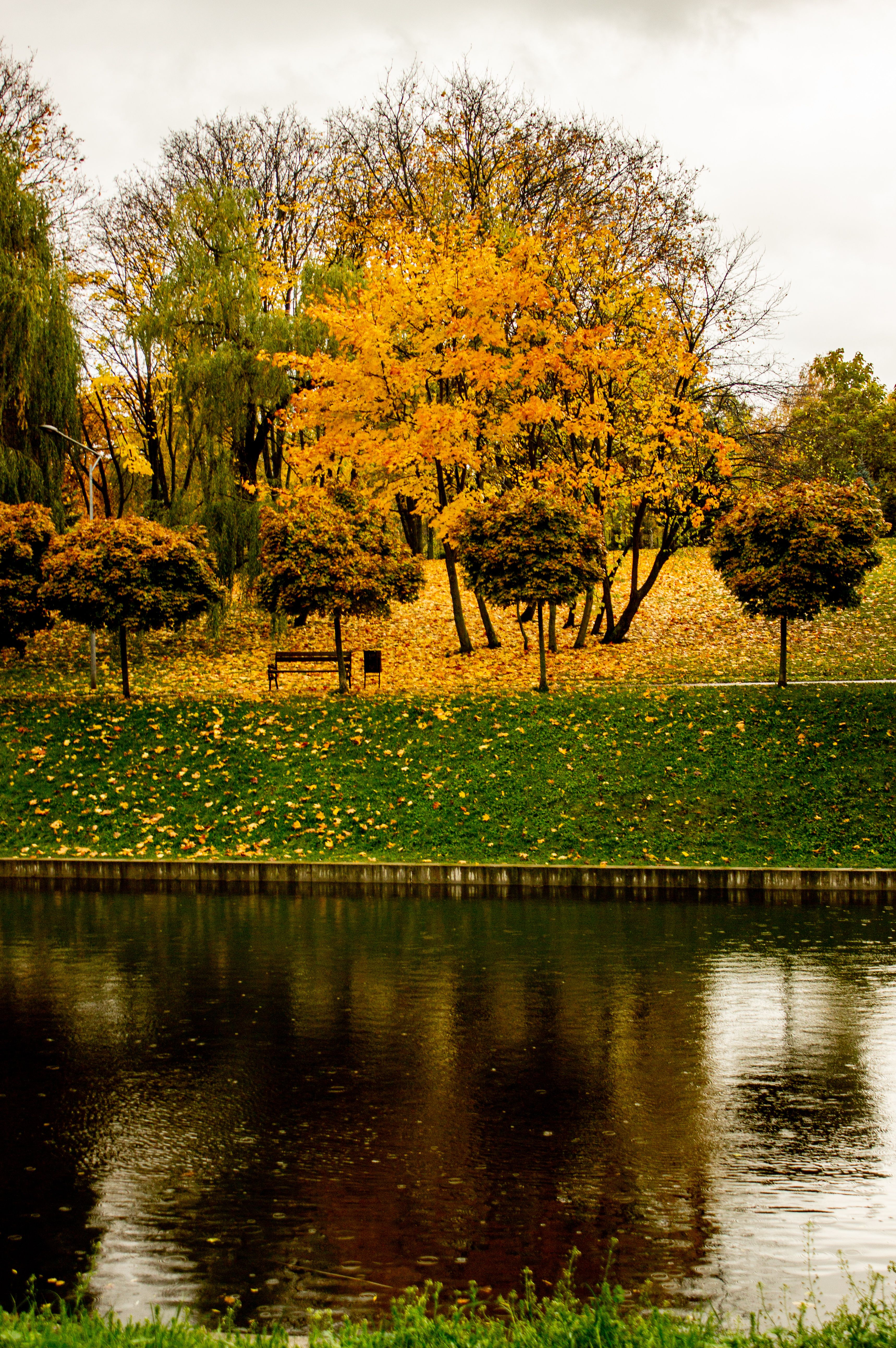 Yellow Landscape Photos, Download The BEST Free Yellow Landscape Stock ...