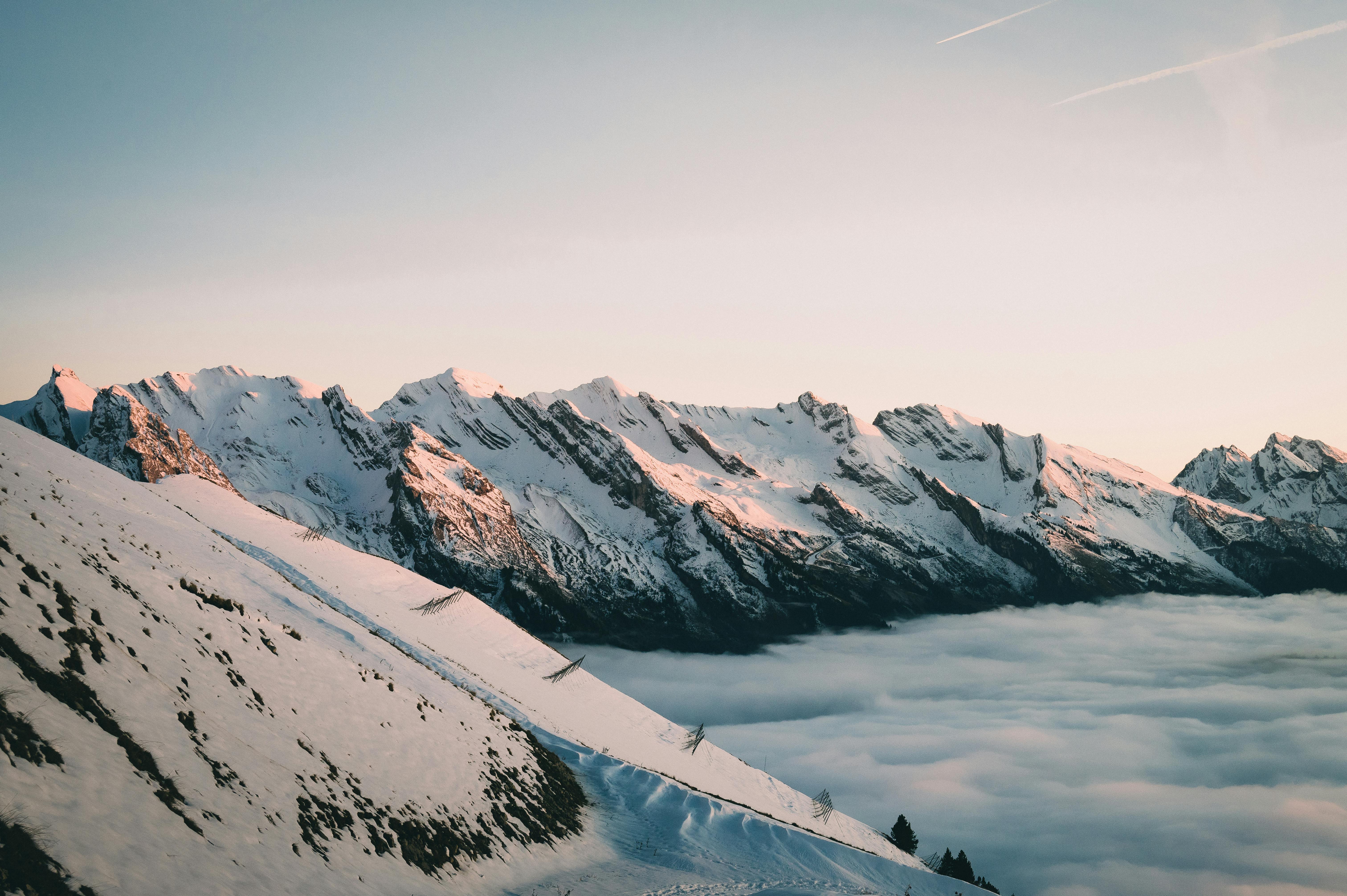 30 000+ Bästa Bad-bunny-lo-que-le-paso-a-hawaii-video-lyrics-foton ...