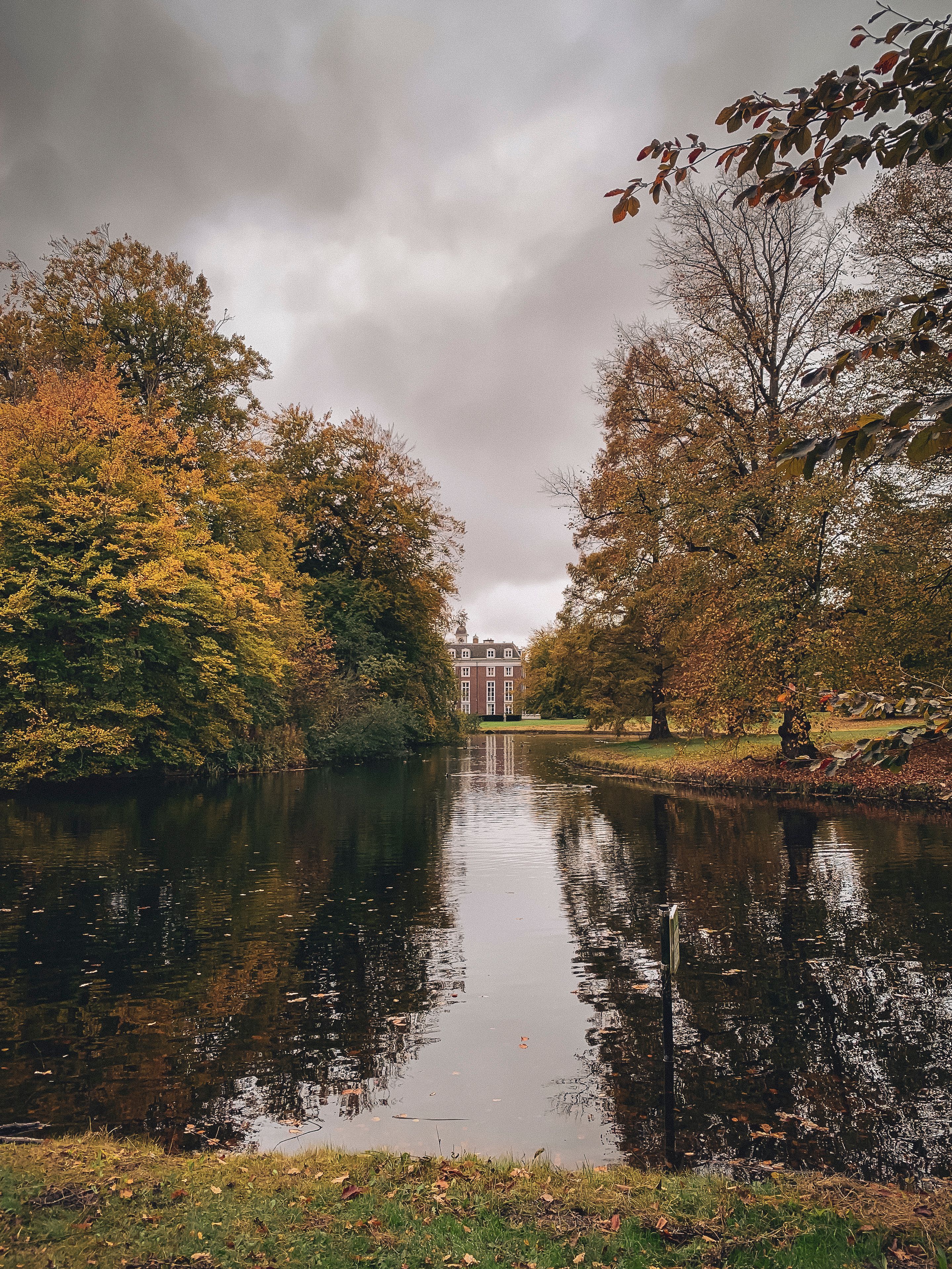 Autumn Reflection in The Hague Park · Free Stock Photo