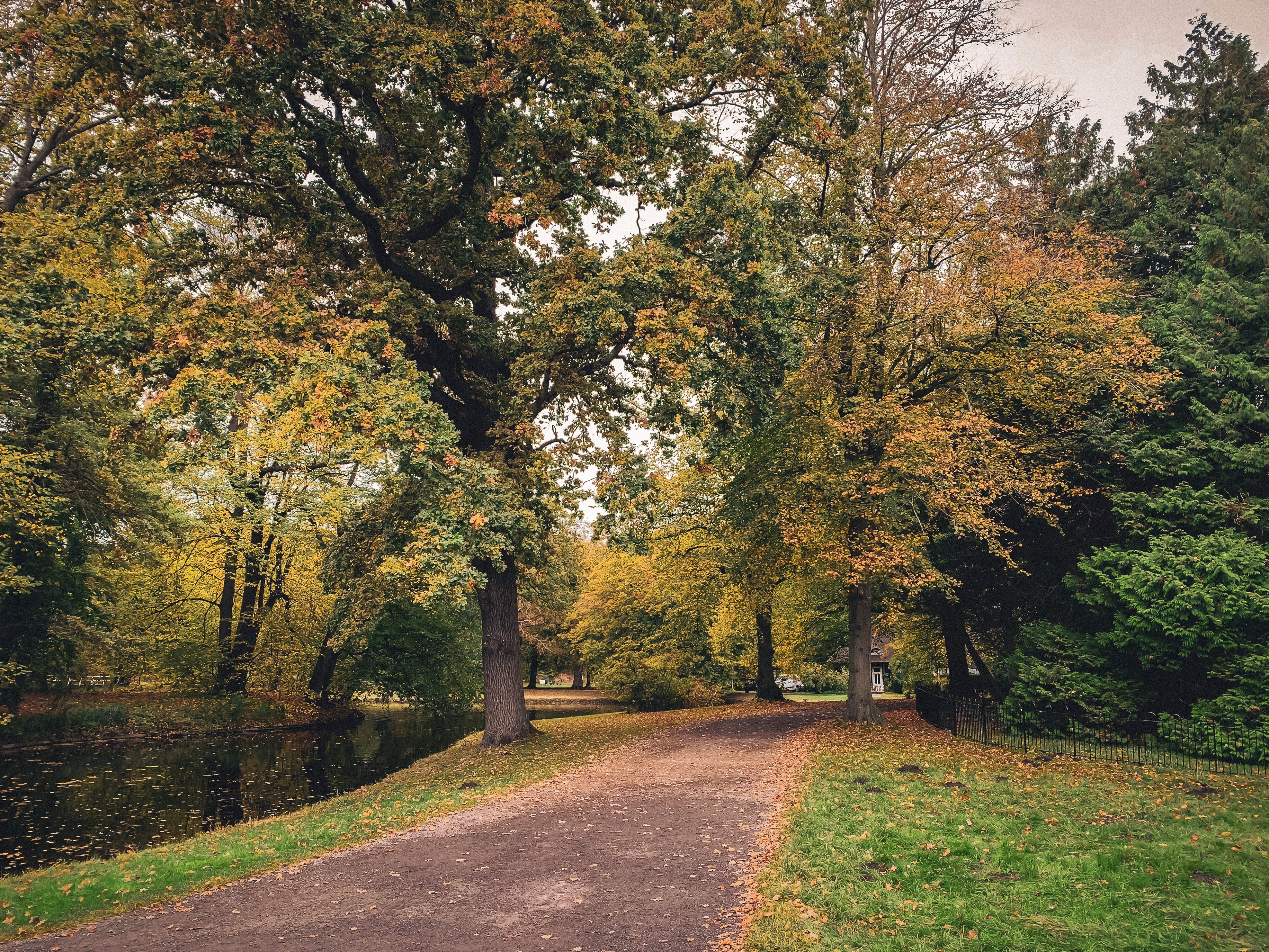 Serene Autumn Pathway in The Hague Park · Free Stock Photo