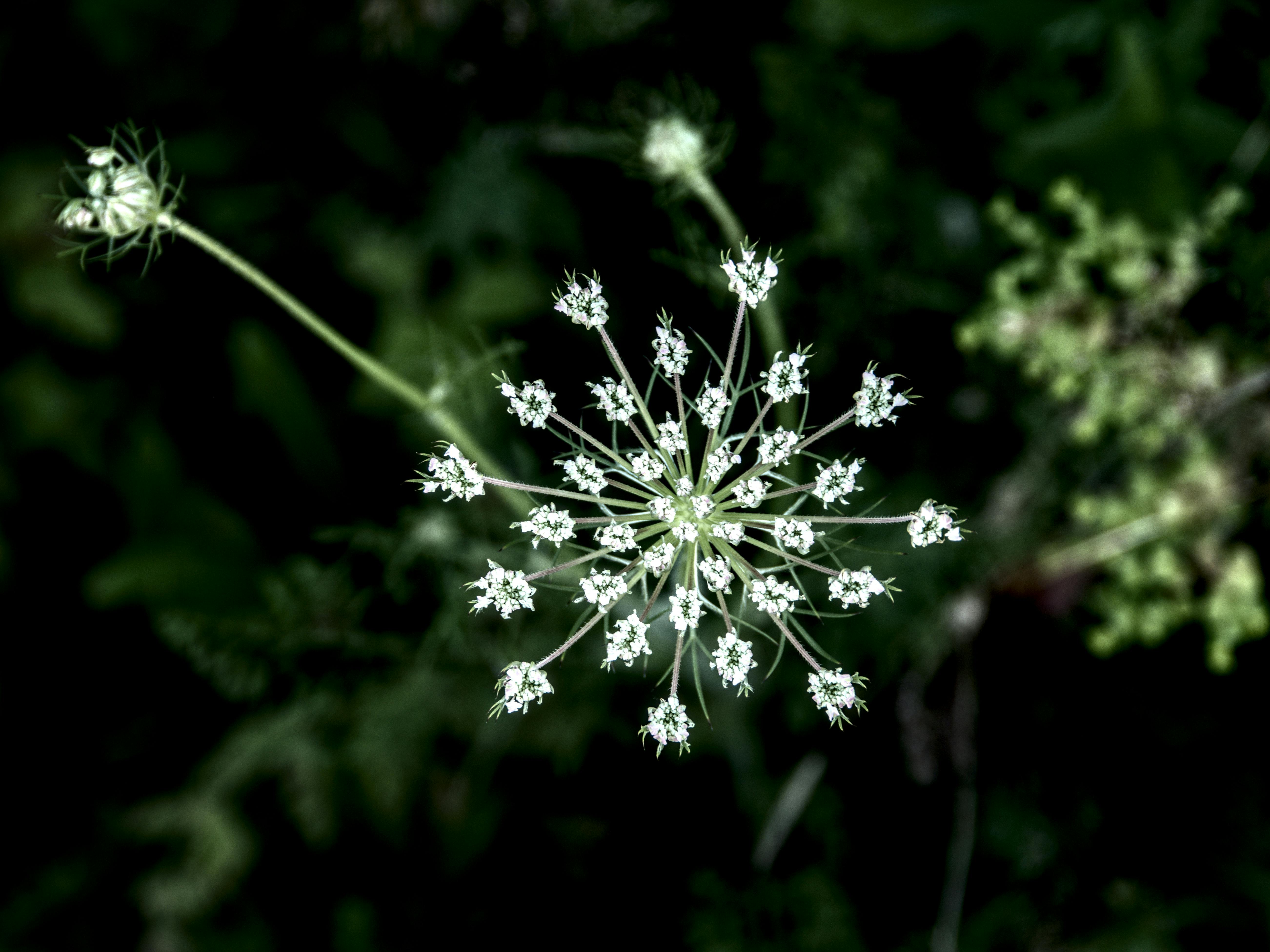 Tenna+Wallpaper+Deltarune Photos, Download The BEST Free Tenna ...