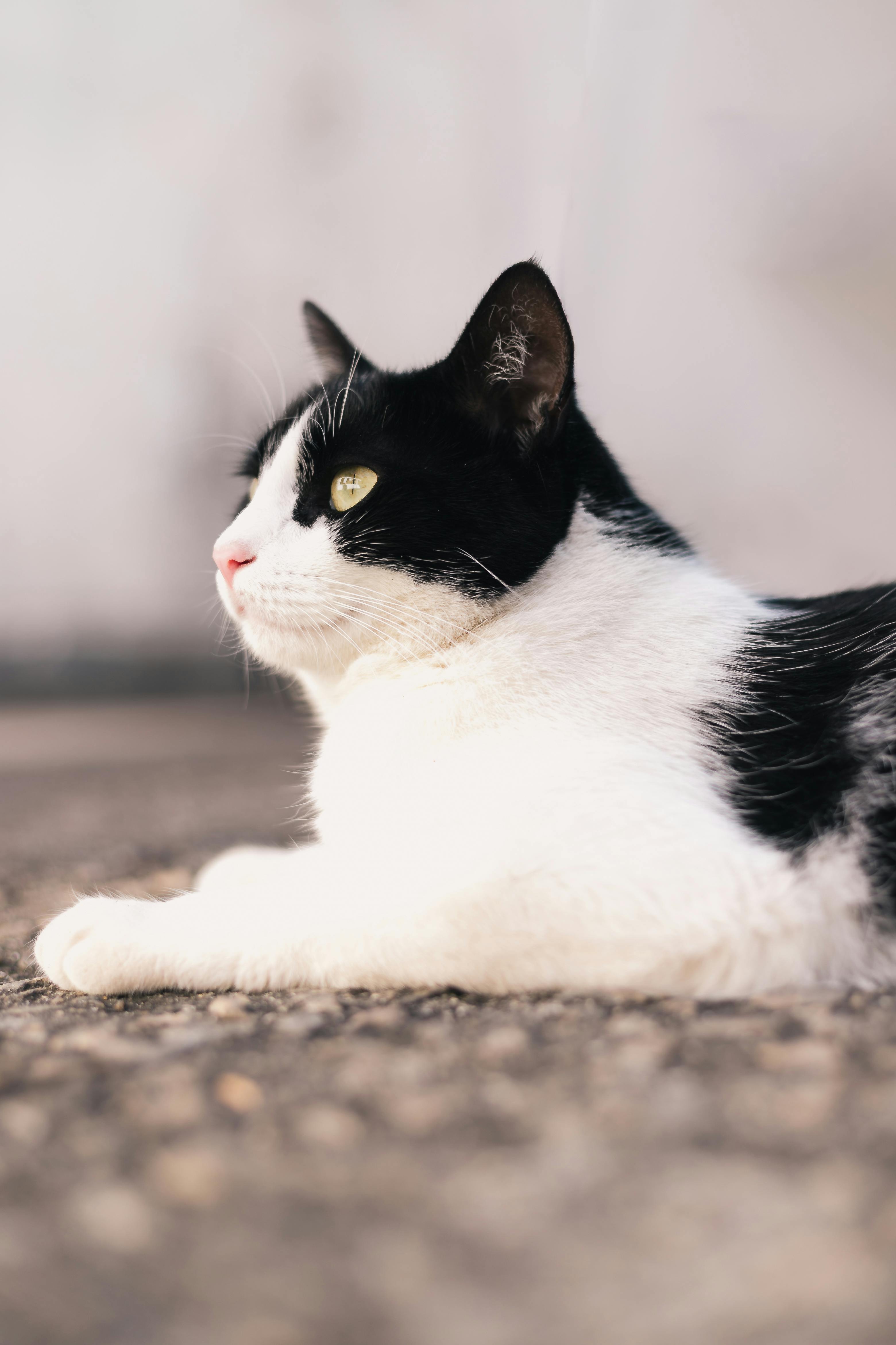 100.000+ Chill+a+chill Bilder und Fotos · Kostenlos Downloaden · Pexels ...