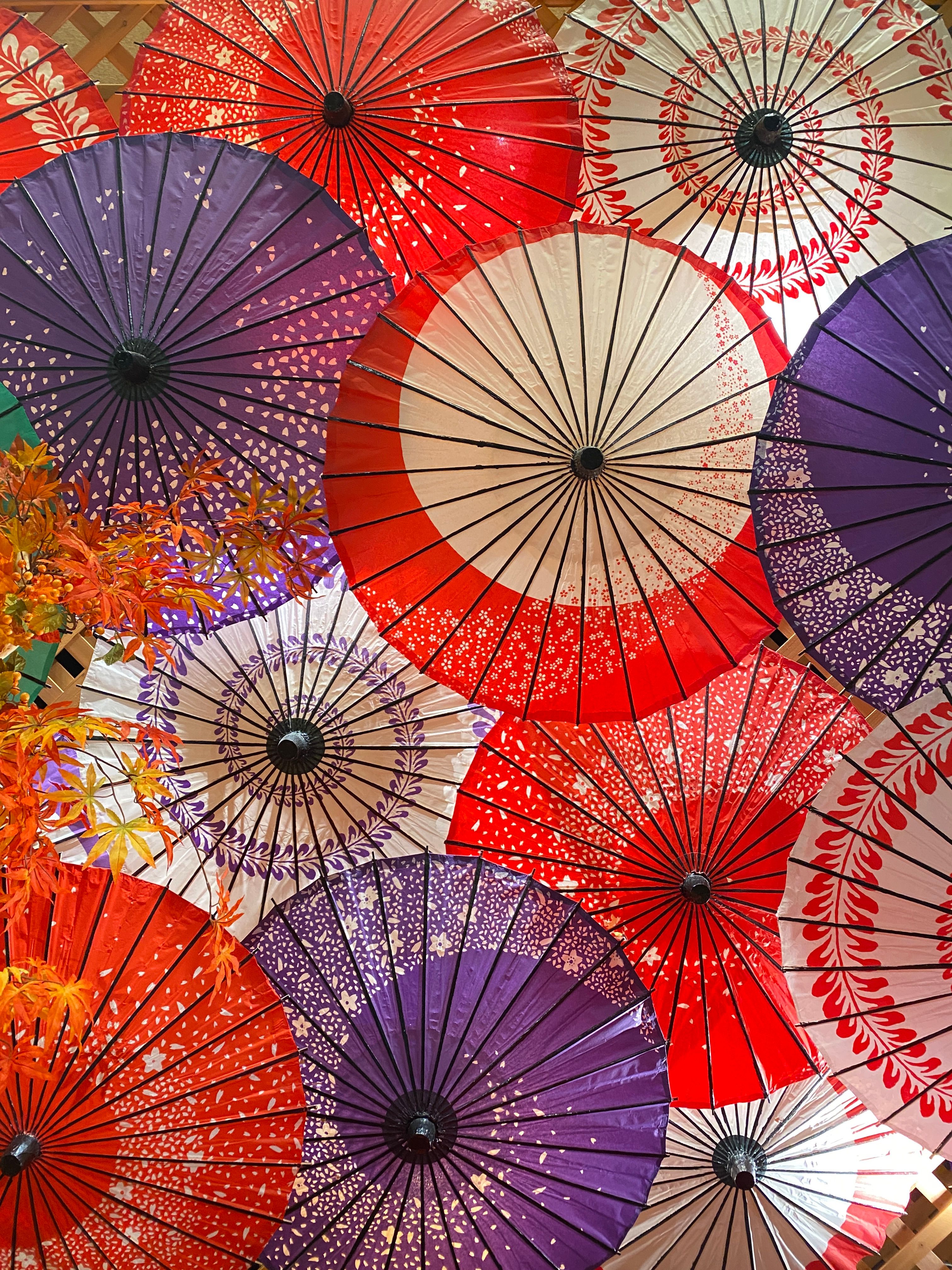 Colorful Japanese Paper Umbrellas Display · Free Stock Photo