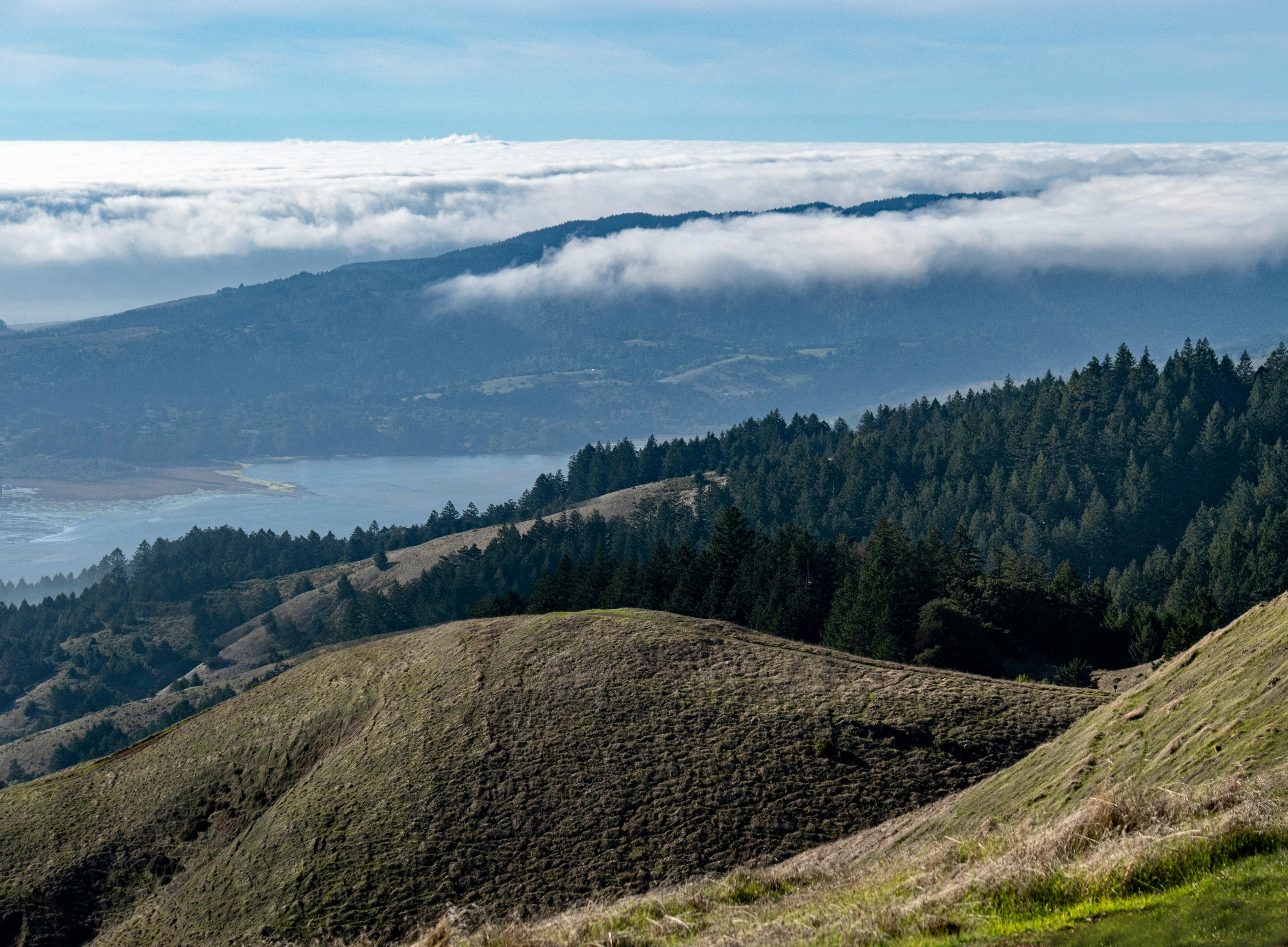 Mist 100 Mph Photos, Download The BEST Free Mist 100 Mph Stock Photos ...