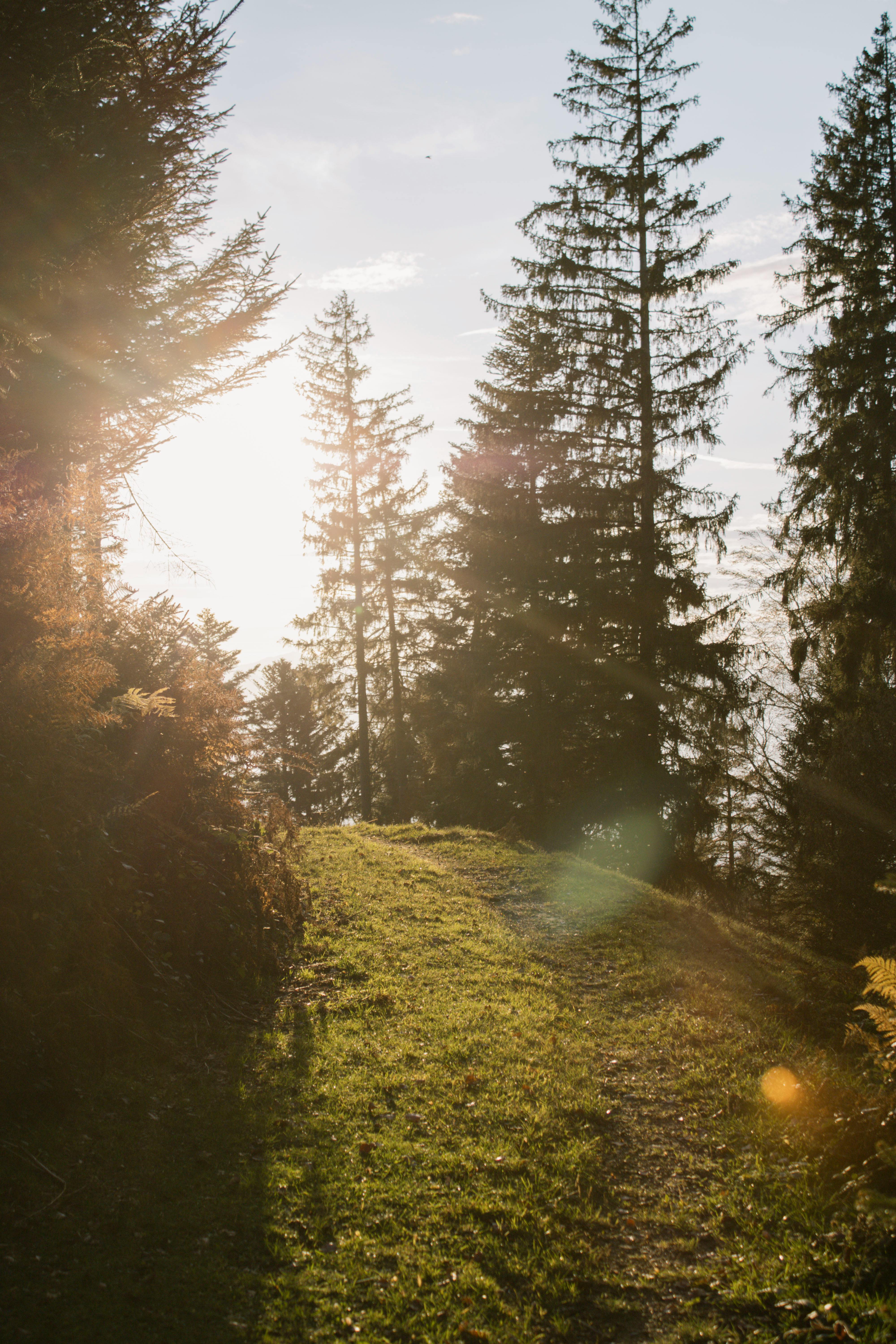 Horizon Sunrise Photos, Download The BEST Free Horizon Sunrise Stock ...