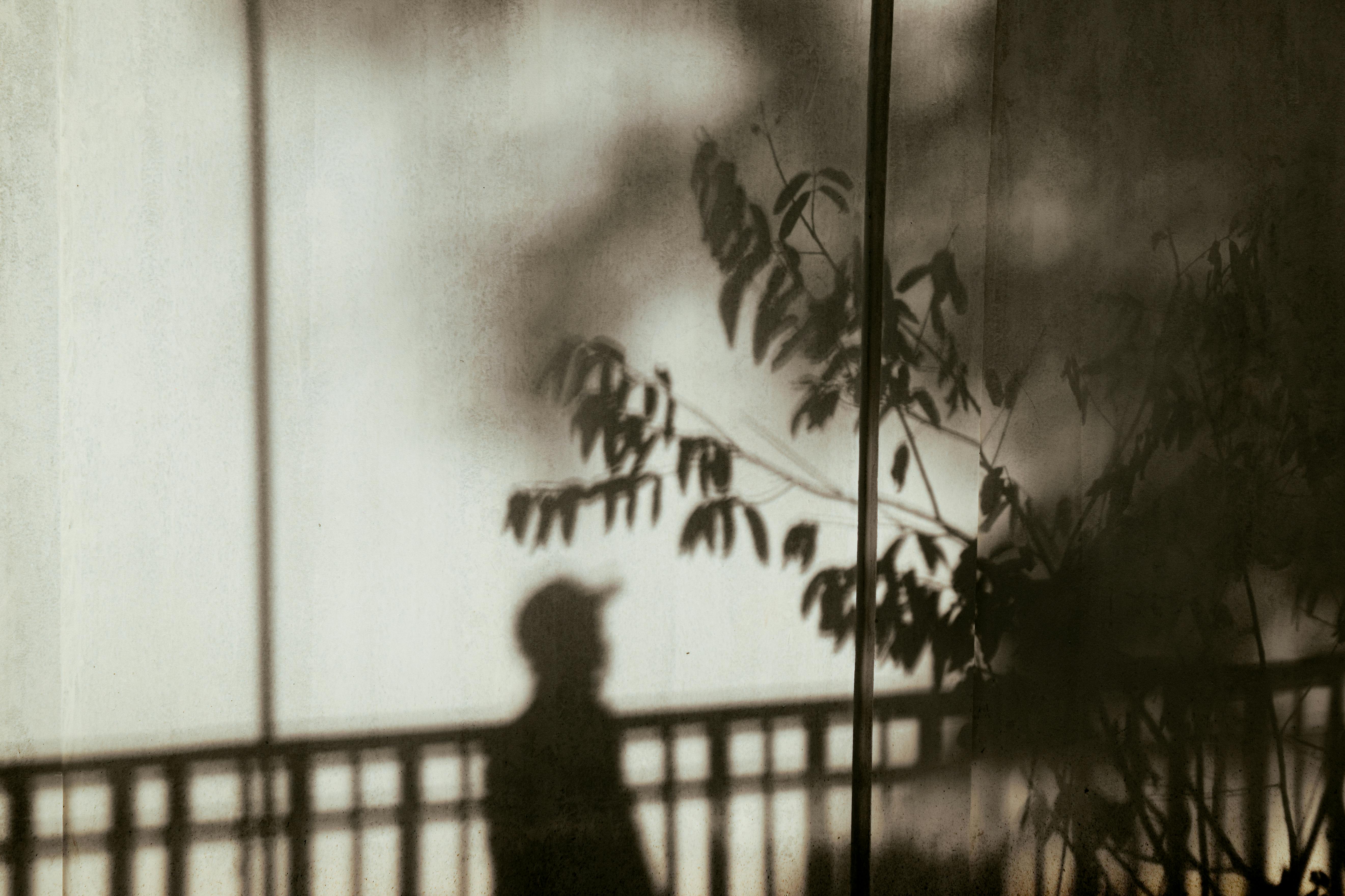 Perception Photos, Download The BEST Free Perception Stock Photos & HD ...