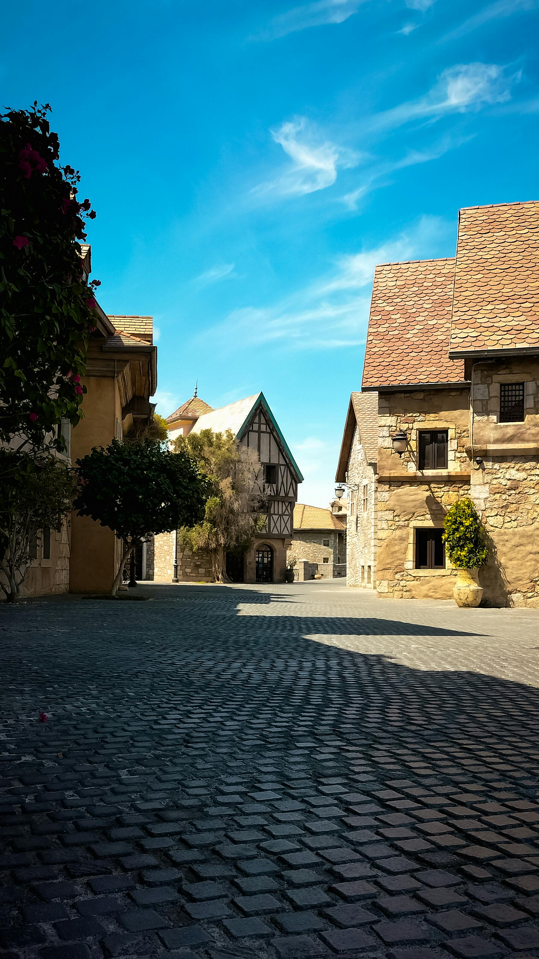 Tenna+Wallpaper+Deltarune Photos, Download The BEST Free Tenna ...