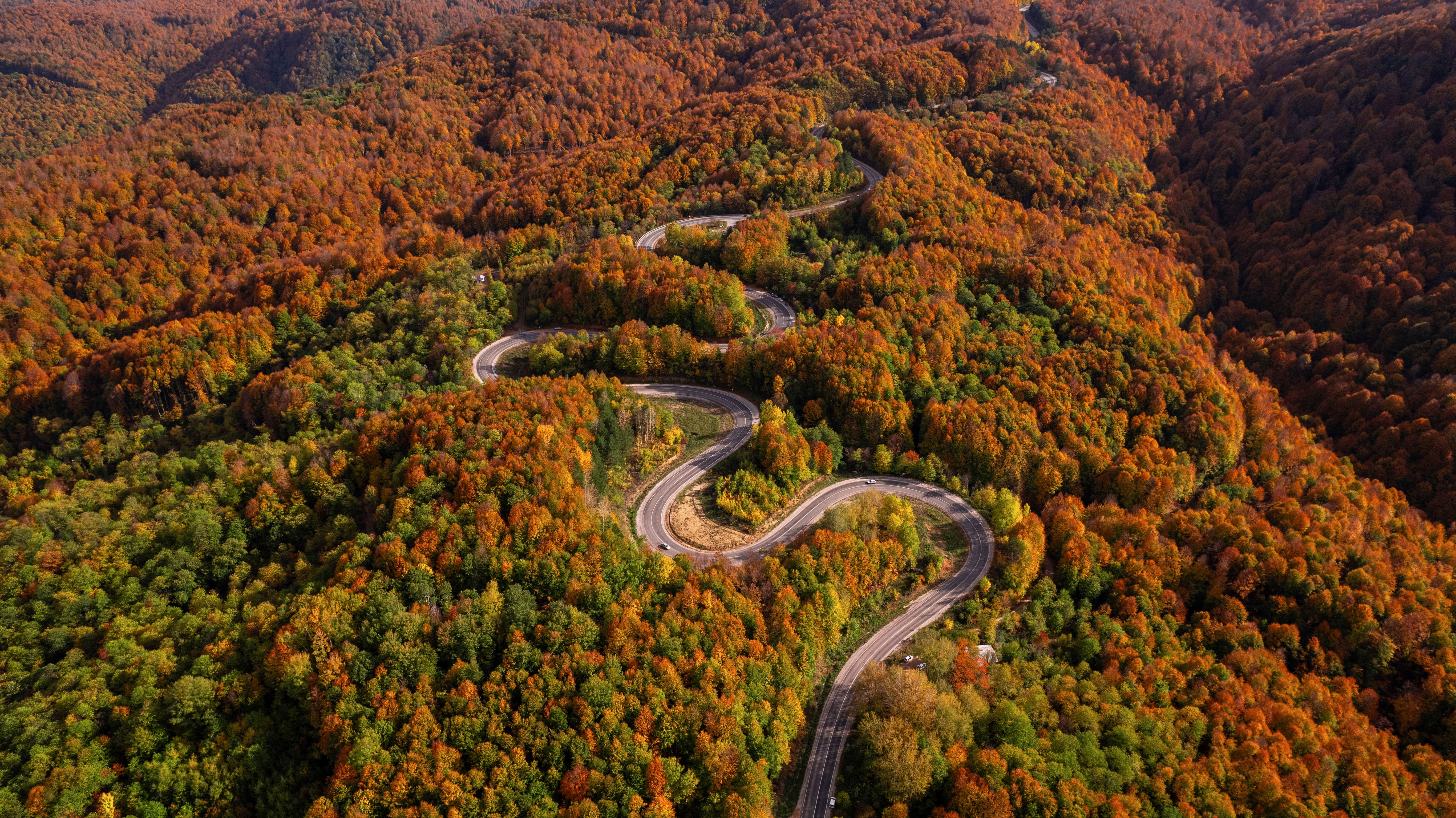Scenic Aerial View of Serpentine Mountain Road in Fall · Free Stock Photo
