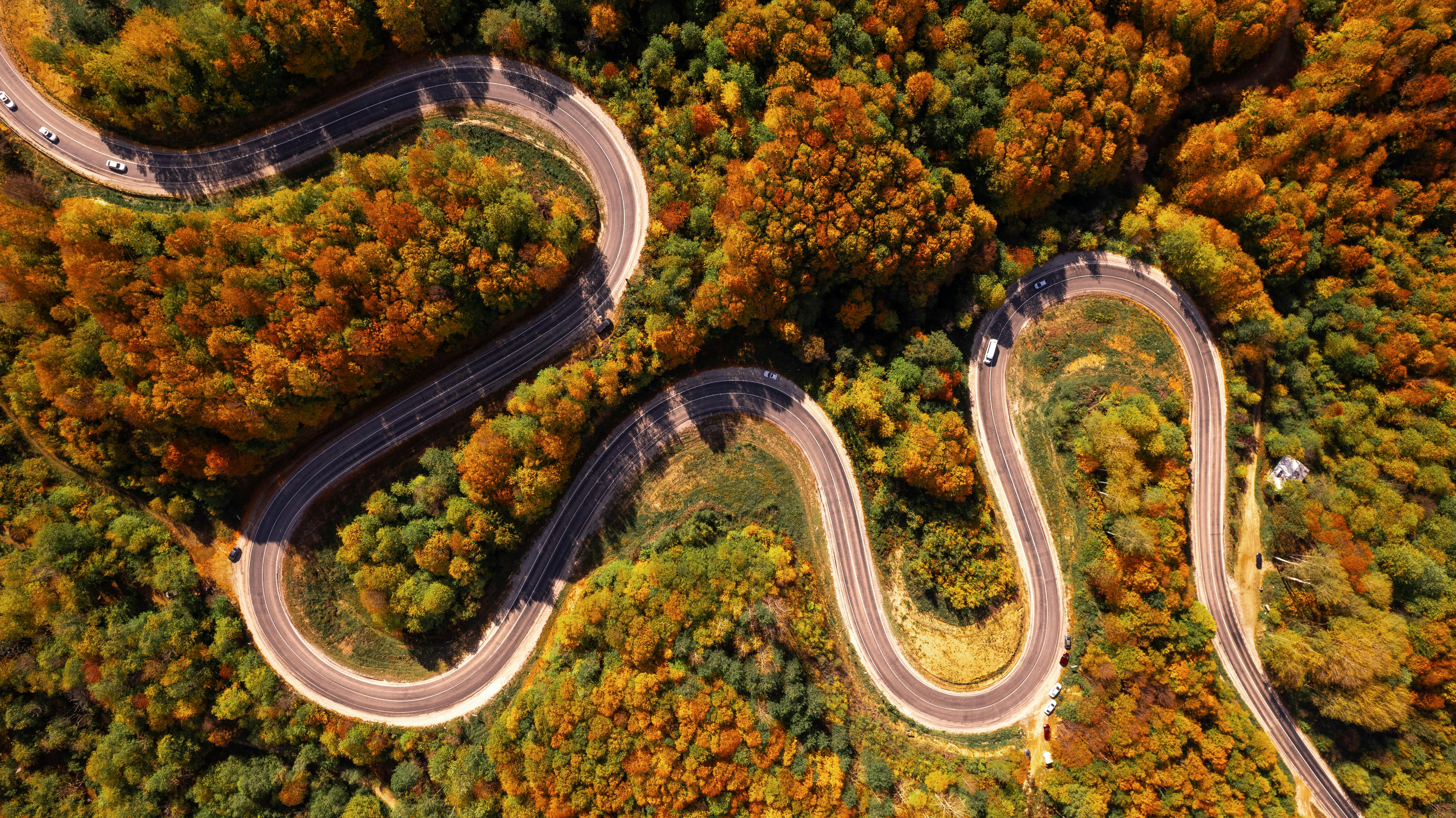 Highlighting+S Photos, Download The BEST Free Highlighting+S Stock ...