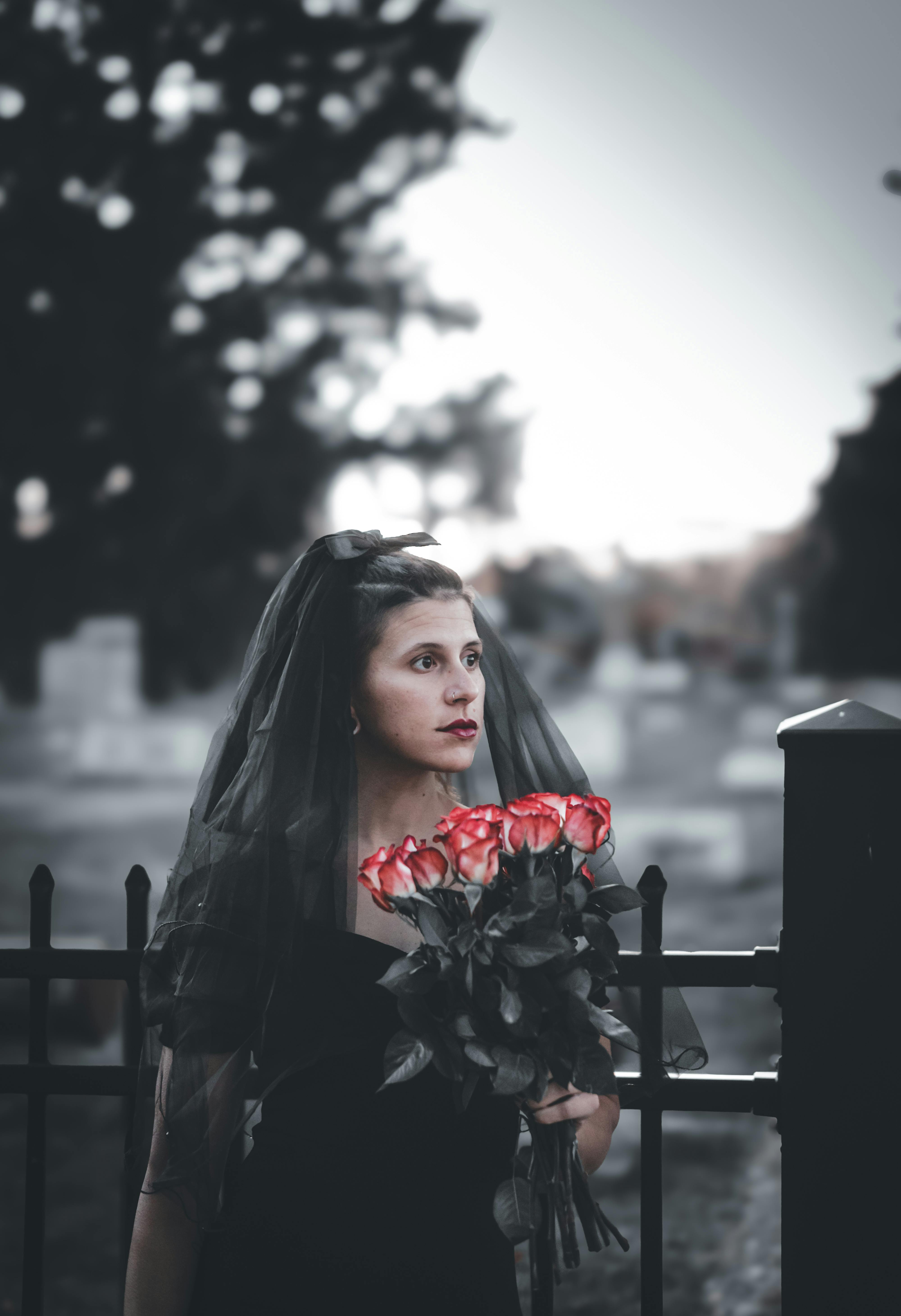 Loss Photos, Download The BEST Free Loss Stock Photos & HD Images