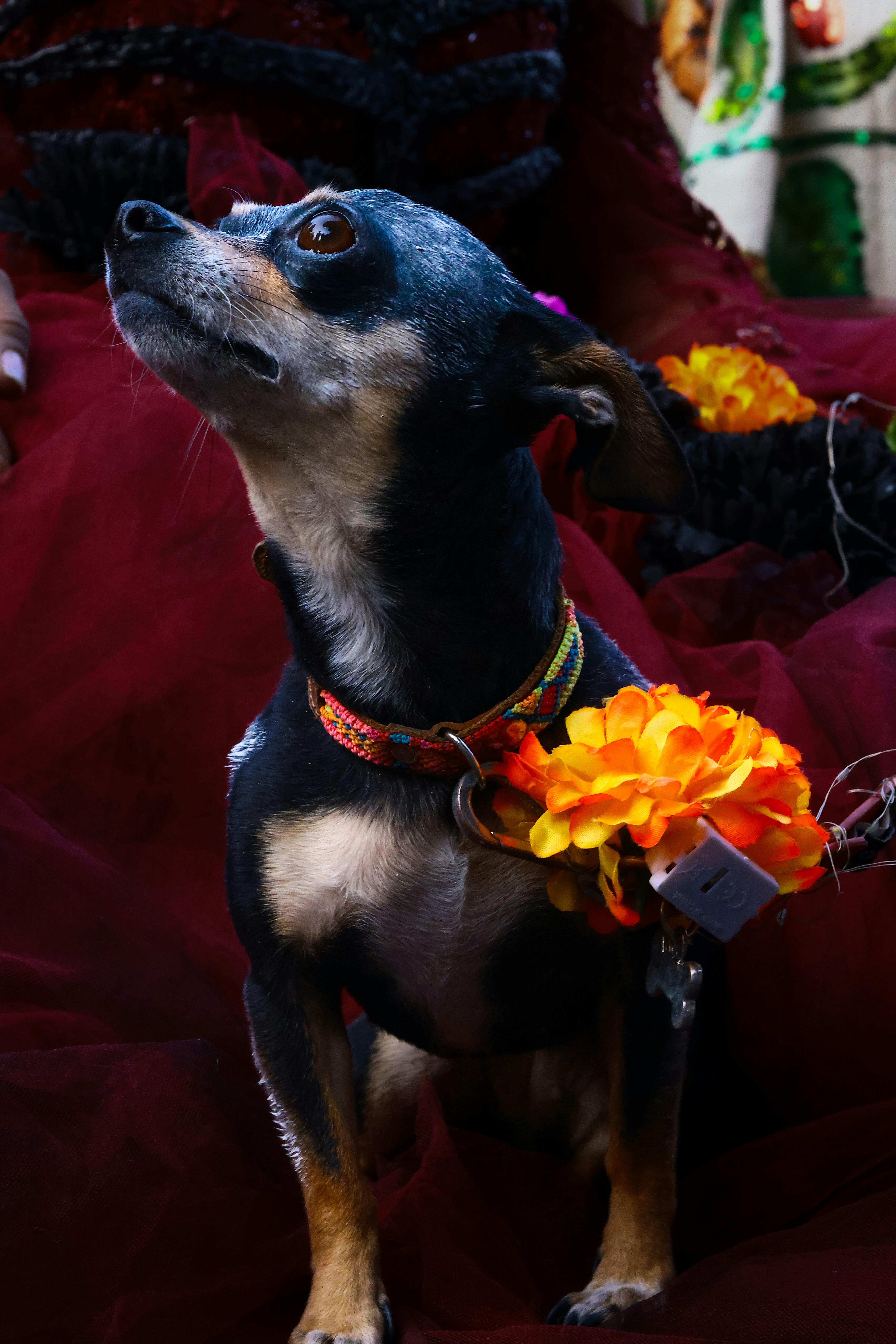 Highlighting+S Photos, Download The BEST Free Highlighting+S Stock ...