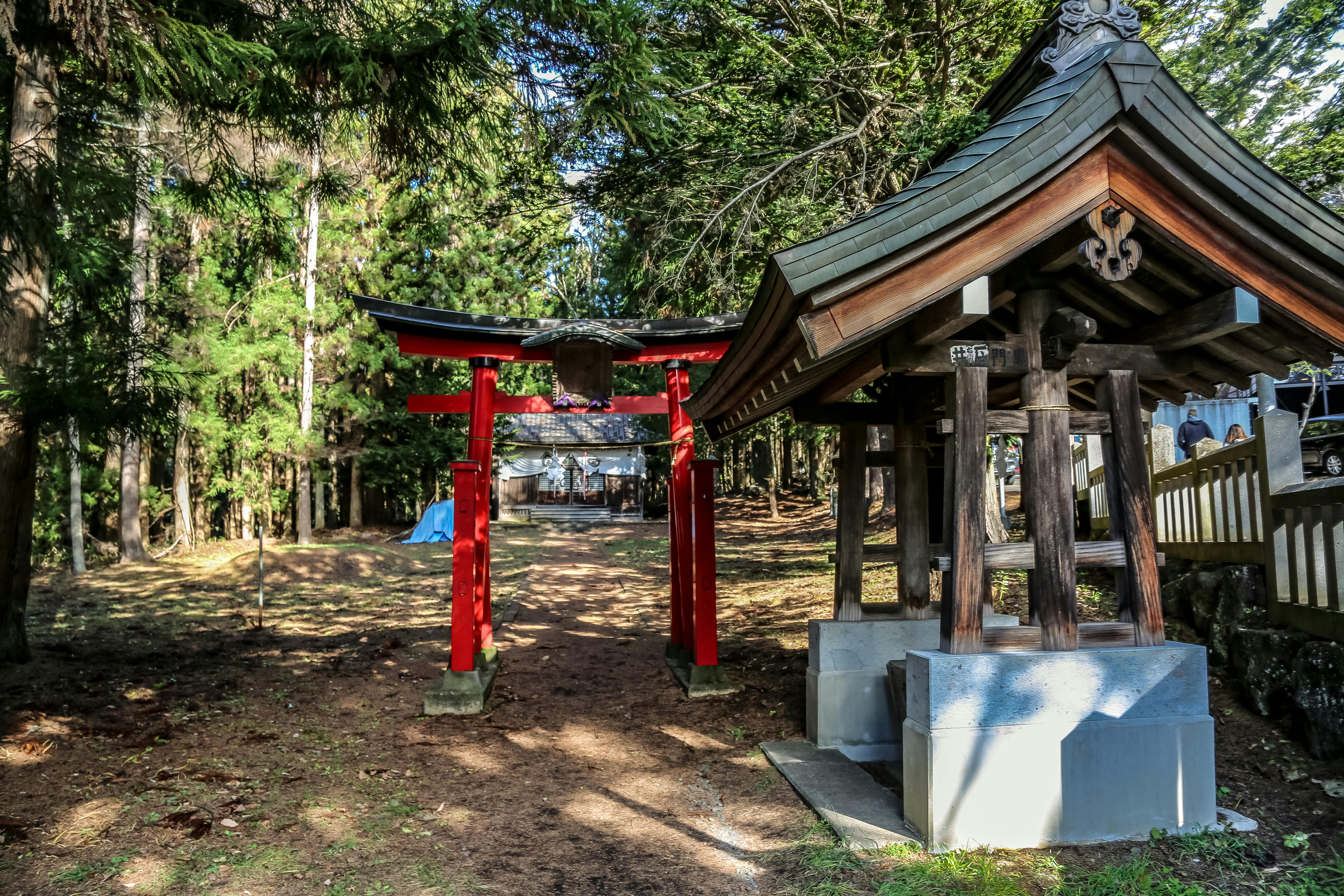 Serene Shinto Shrine with Red Torii Gate in Forest · Free Stock Photo