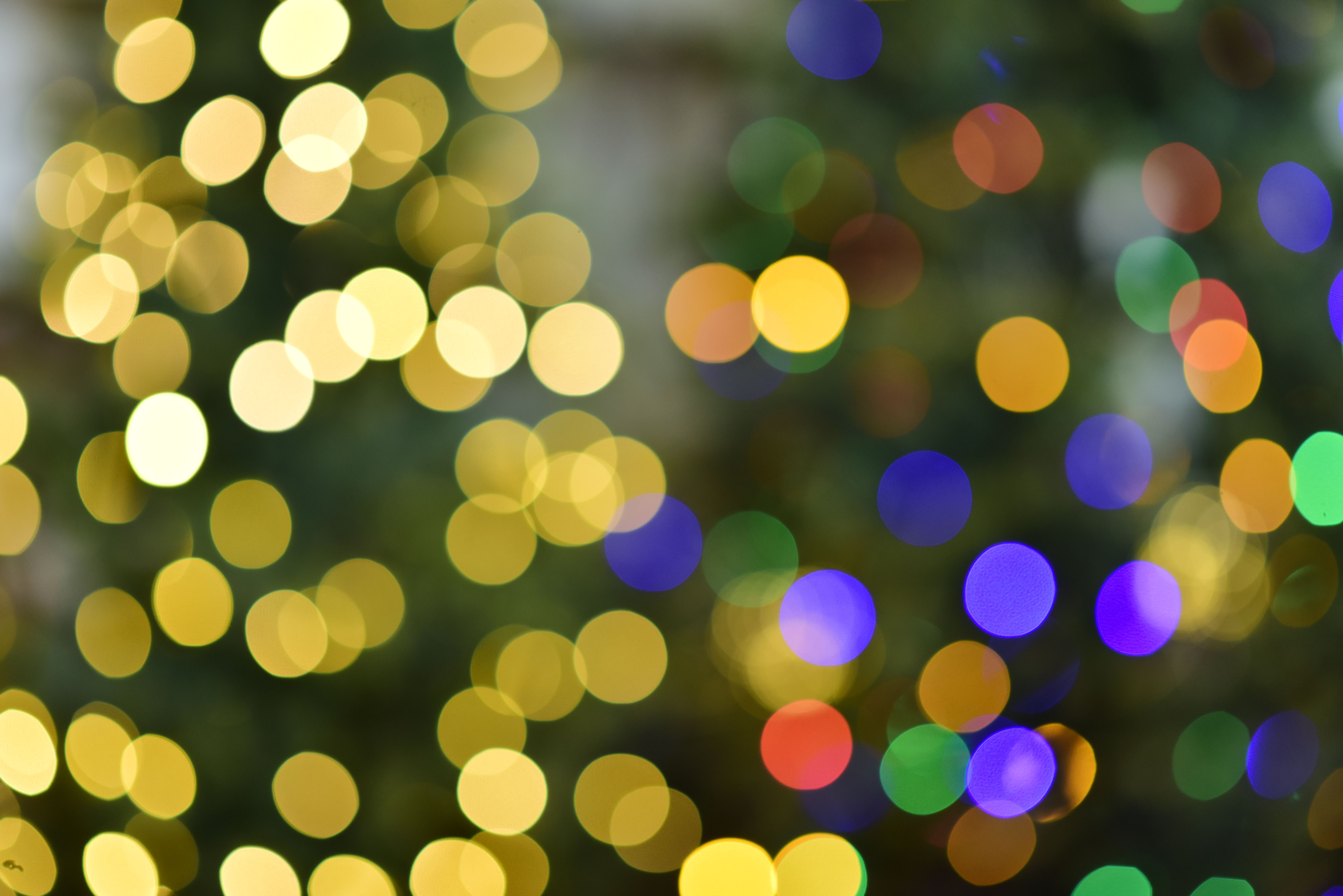 Vibrant Bokeh Lights with Festive Colors · Free Stock Photo