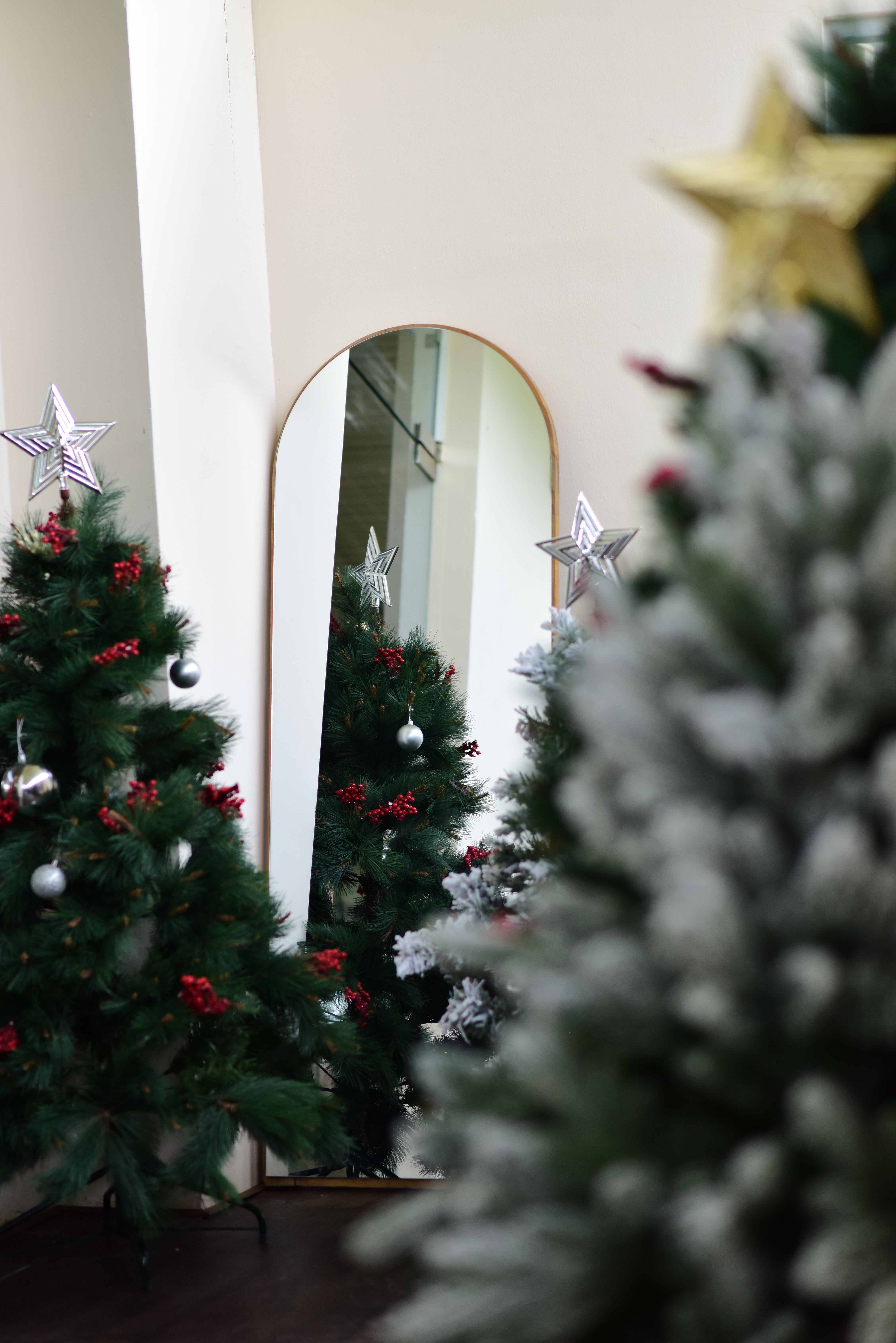 Festive Christmas Trees with Seasonal Decor Indoors · Free Stock Photo