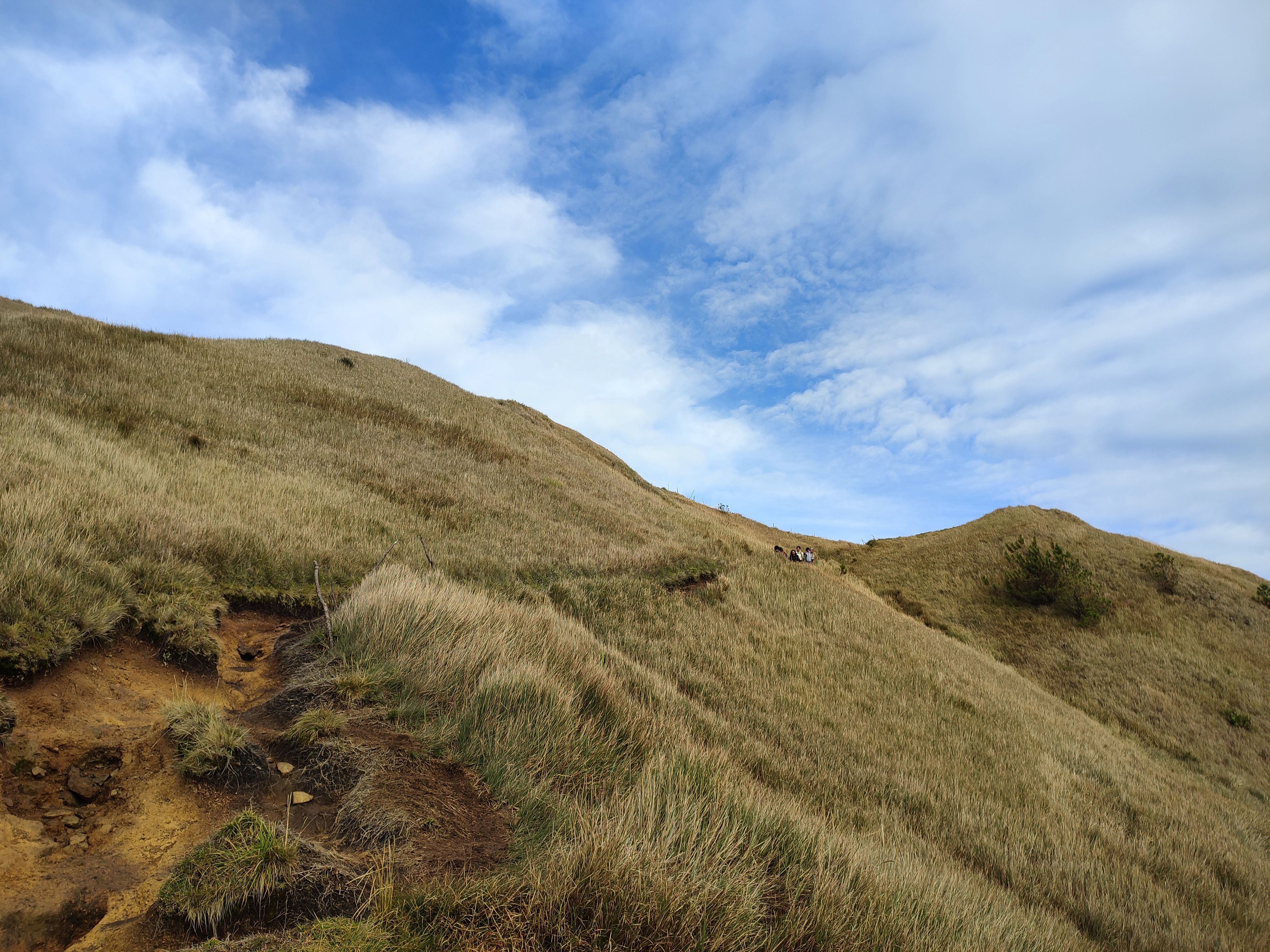 Breathtaking View of Mt. Pulag's Rolling Hills · Free Stock Photo