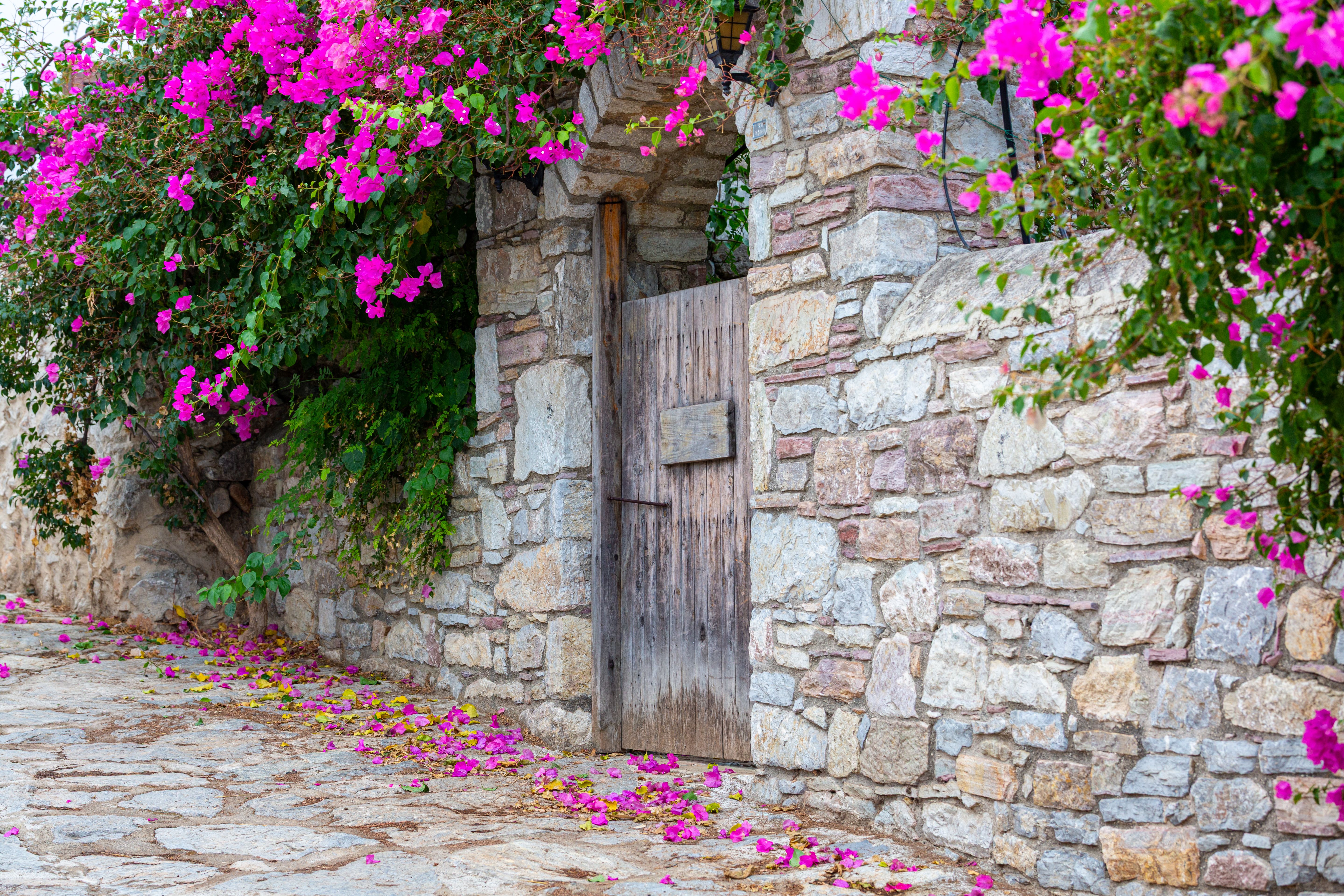 Charming Stone Garden Gate with Pink Bougainvillea · Free Stock Photo