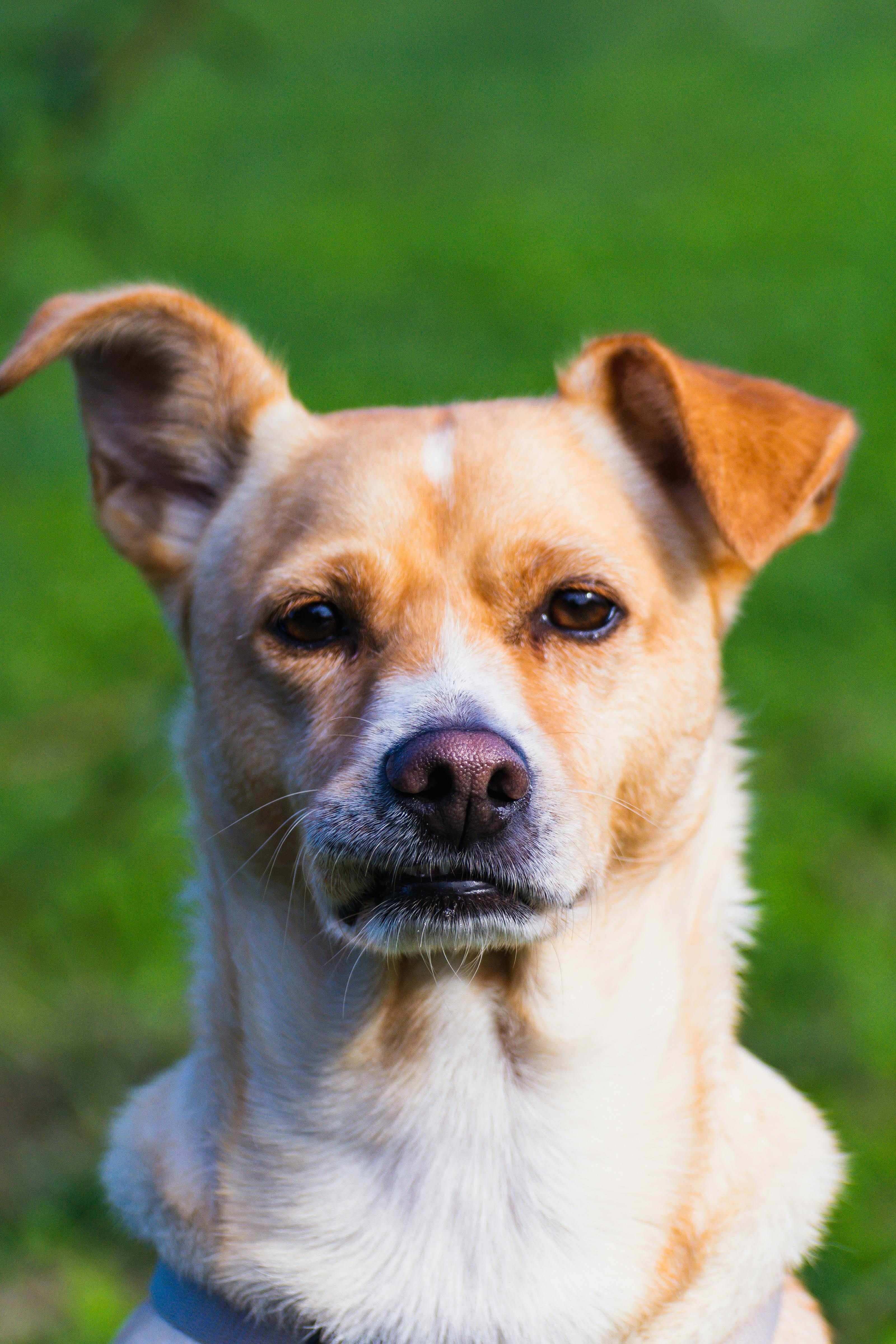 обои+Hd+Anime Photos, Download The BEST Free обои+Hd+Anime Stock Photos ...