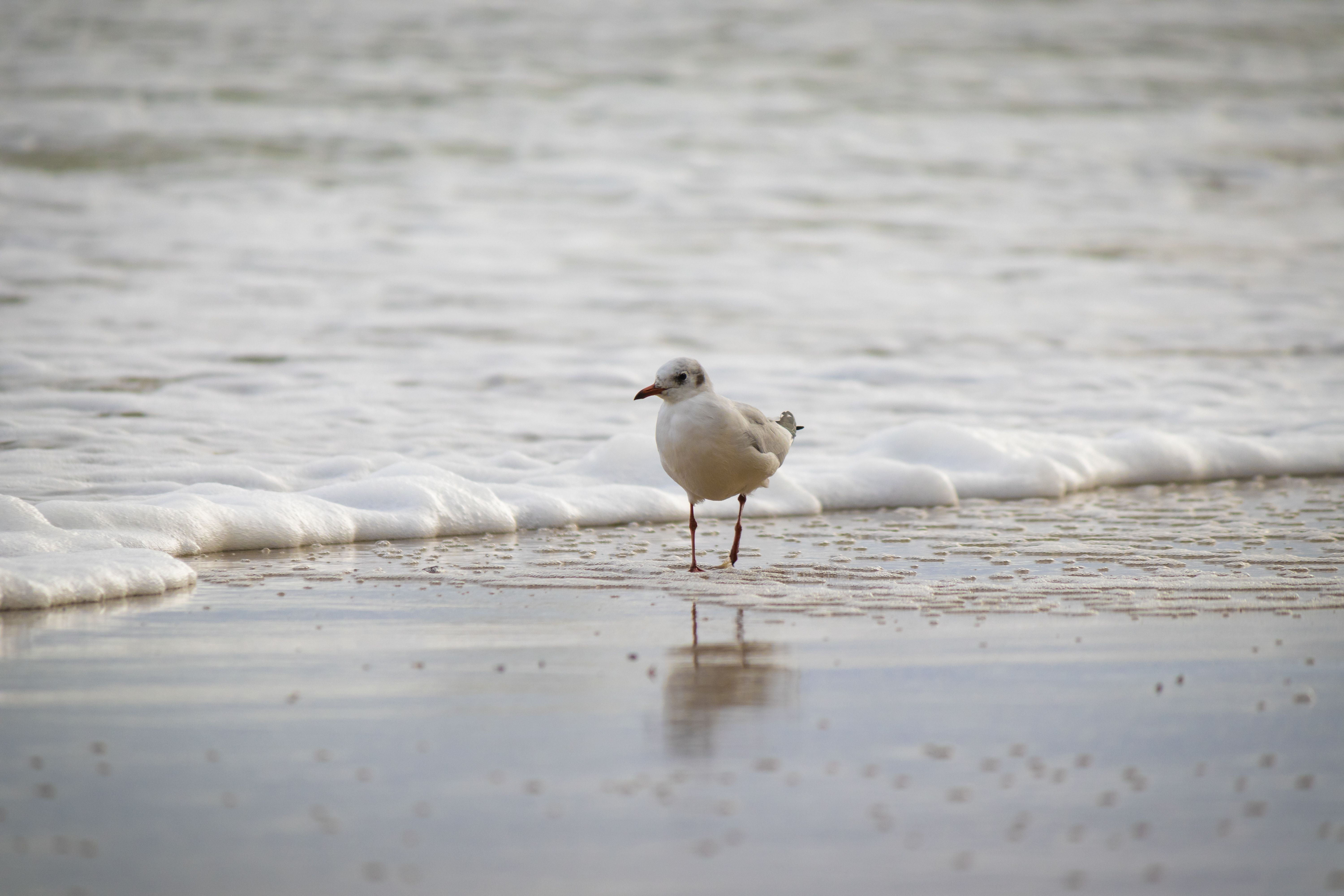 Splash Images Photos, Download The BEST Free Splash Images Stock Photos ...