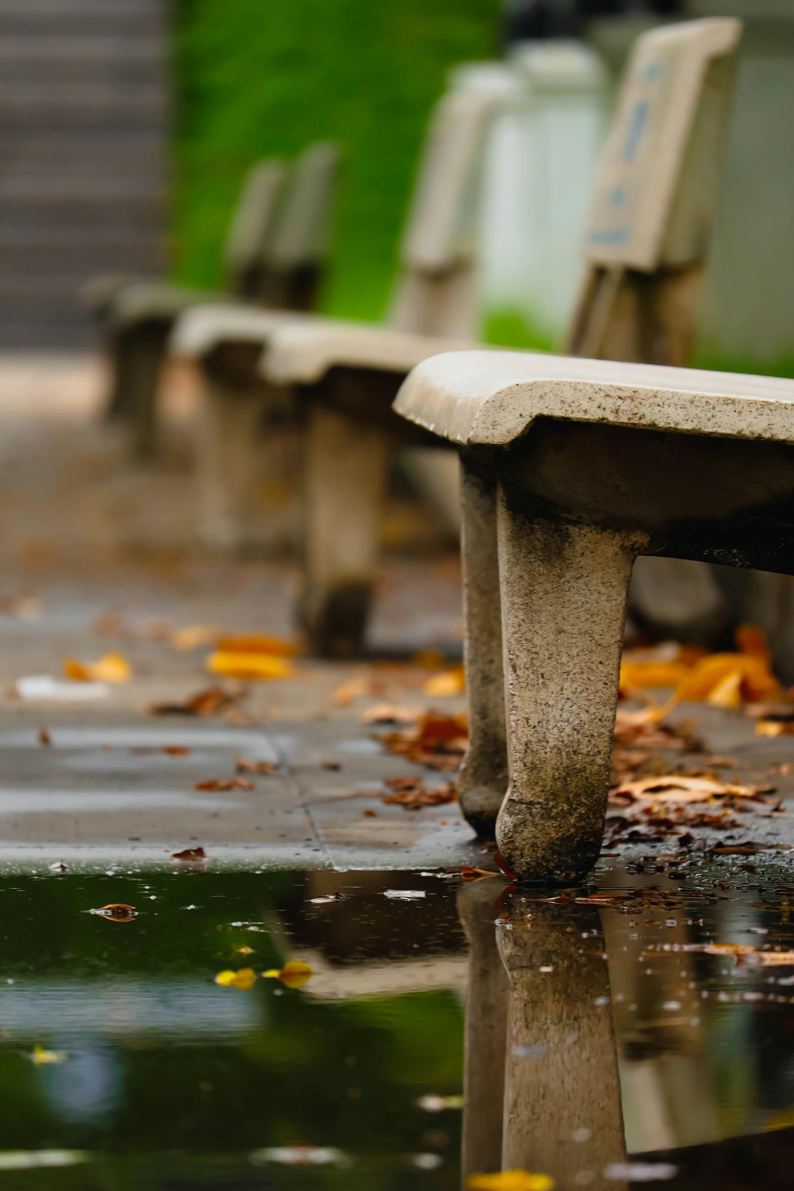 Empty Manger Photos, Download The BEST Free Empty Manger Stock Photos ...