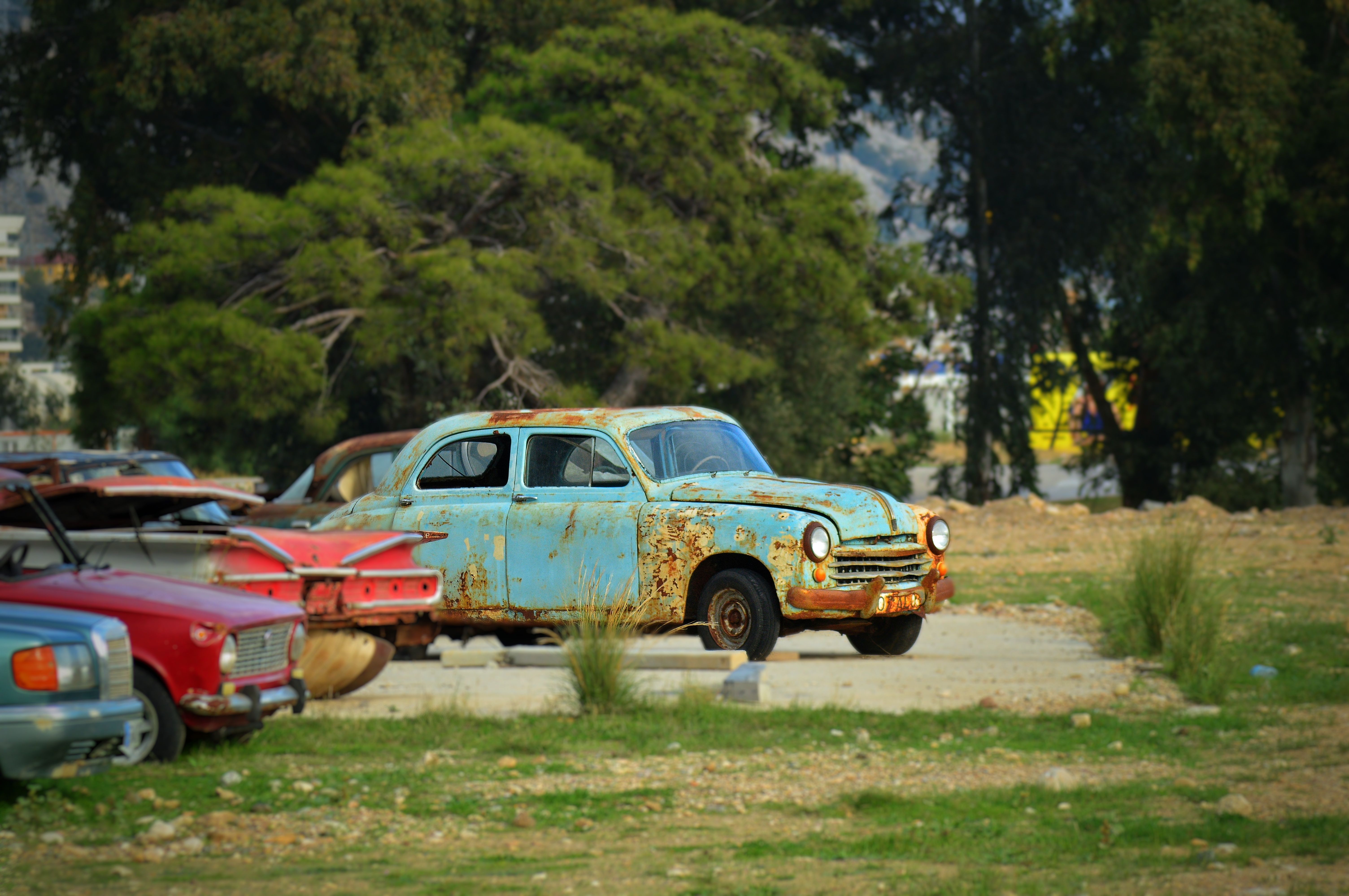 Fall Nostalgia Photos, Download The BEST Free Fall Nostalgia Stock ...