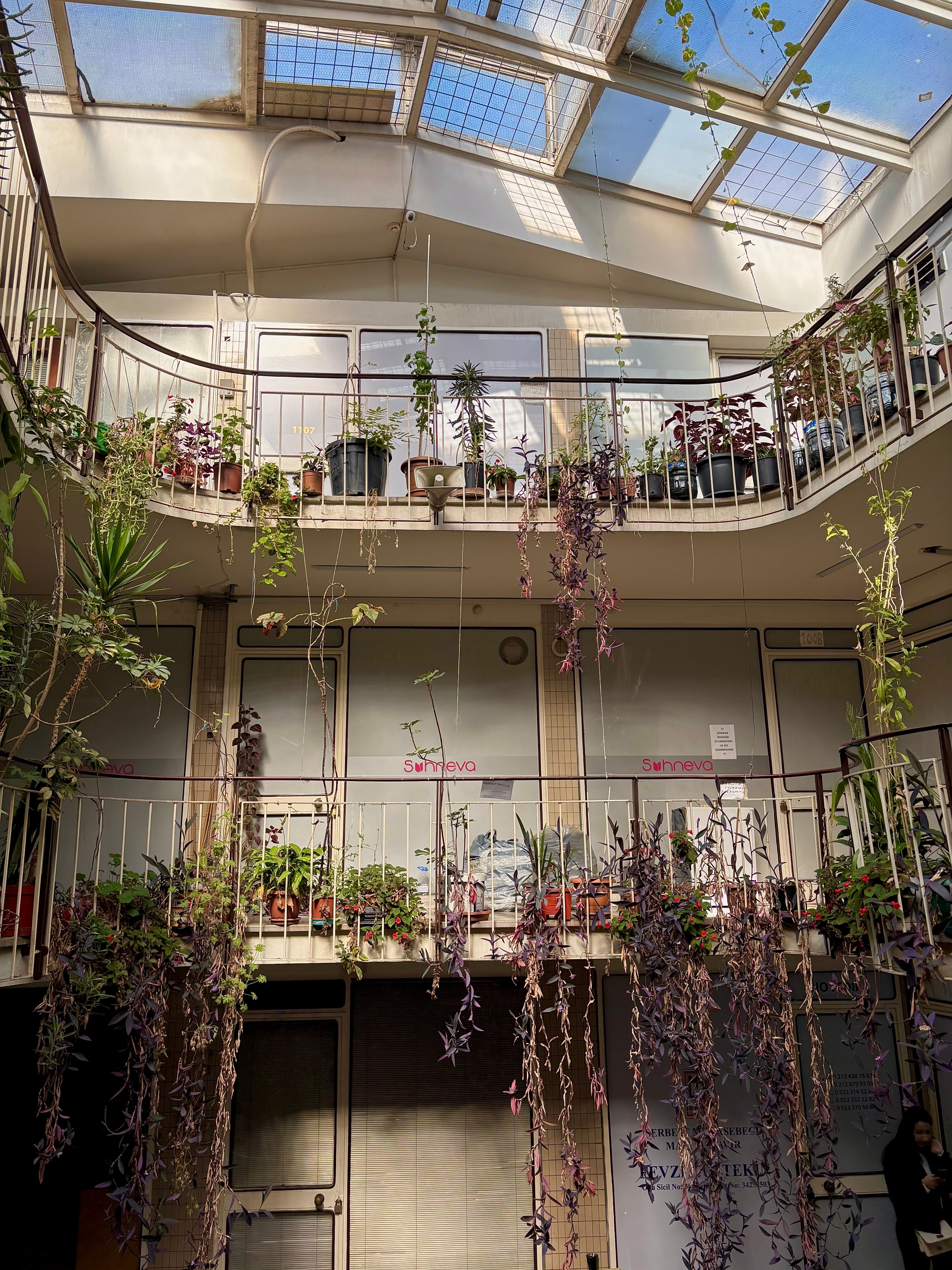 Indoor Atrium with Hanging Plants and Skylight · Free Stock Photo