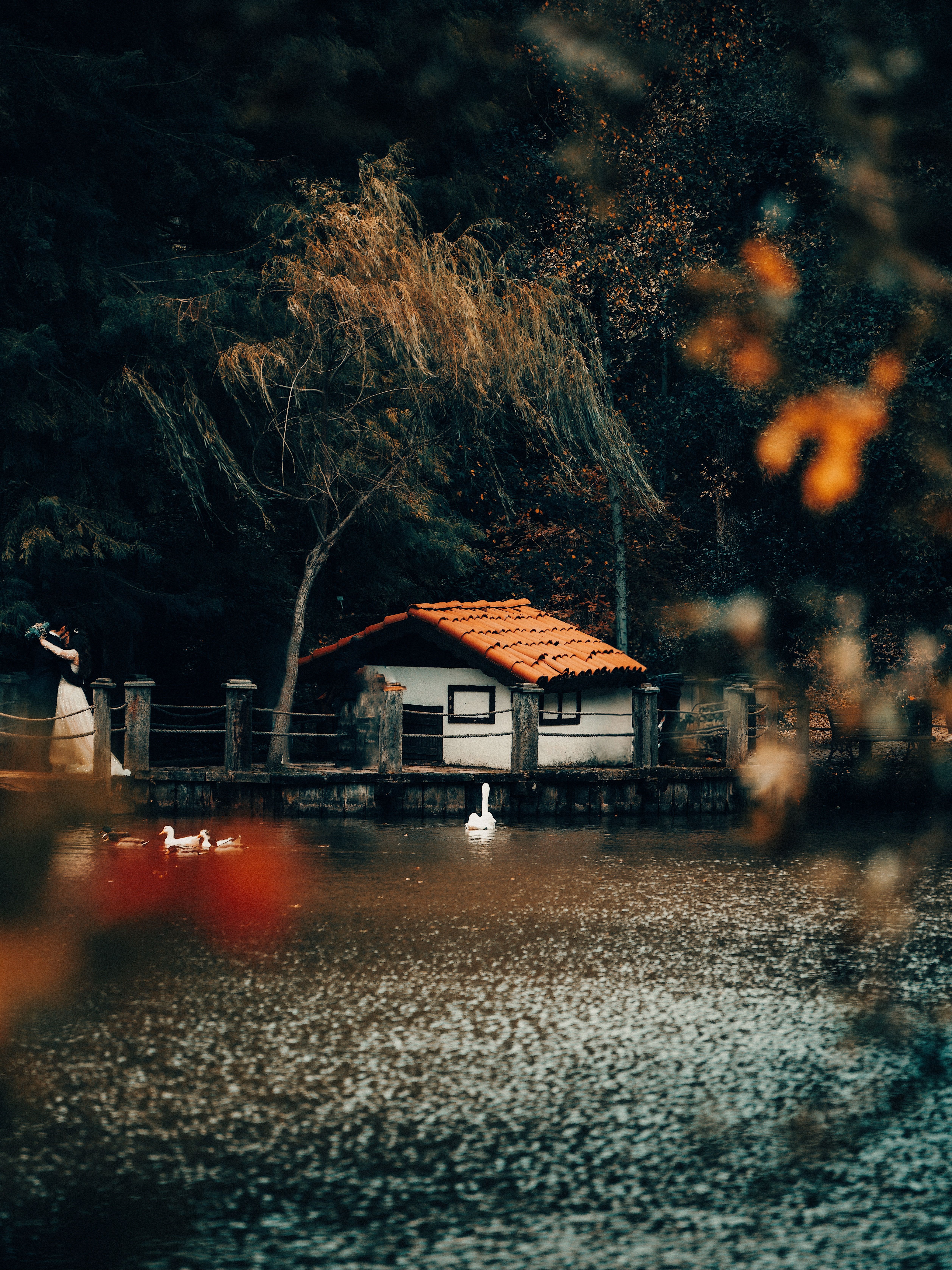 Serene Lakeside Hut with Autumn Foliage · Free Stock Photo