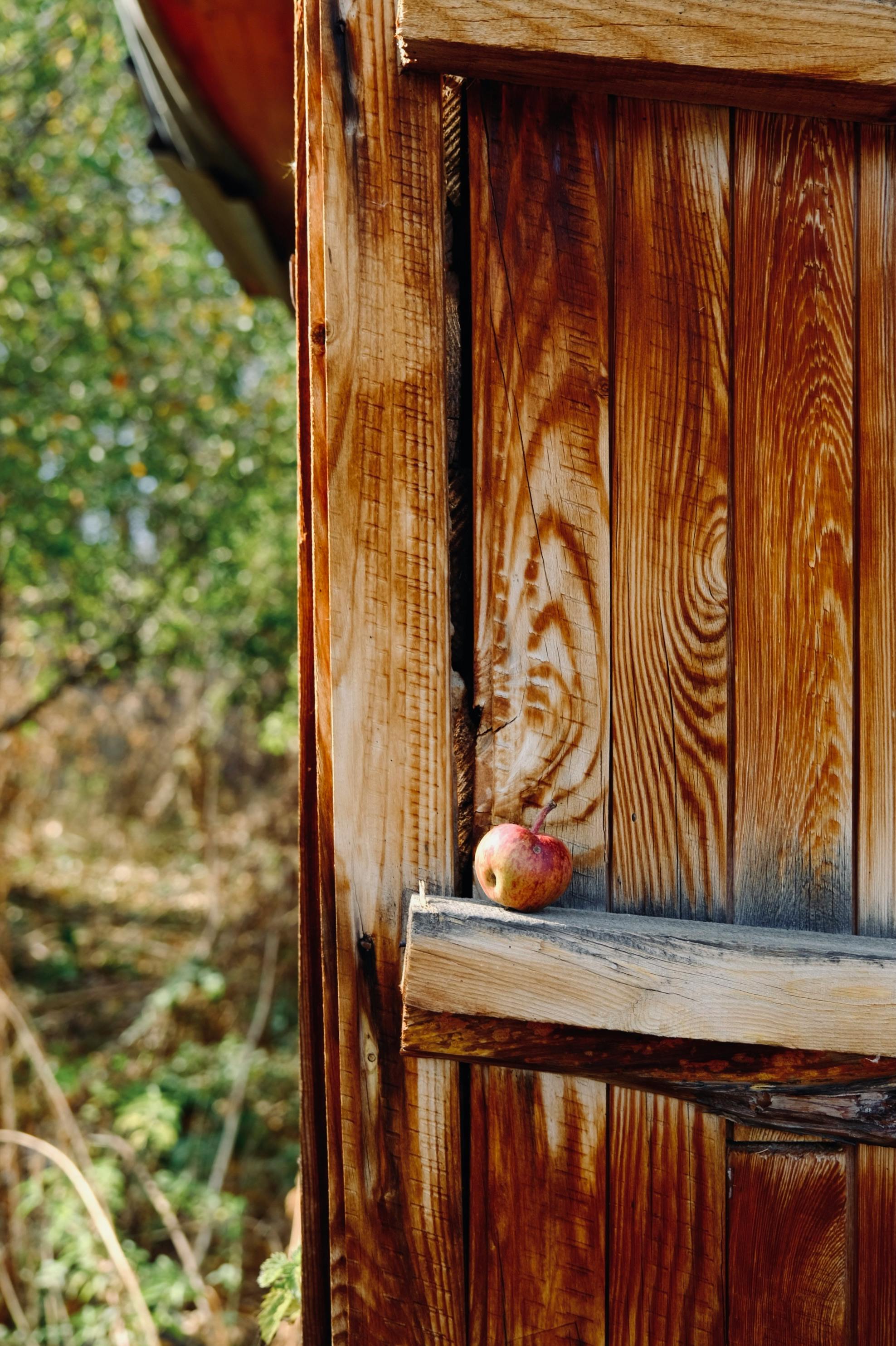 Puerta Rústica De Madera Con Manzana Caída En Otoño · Foto de stock ...