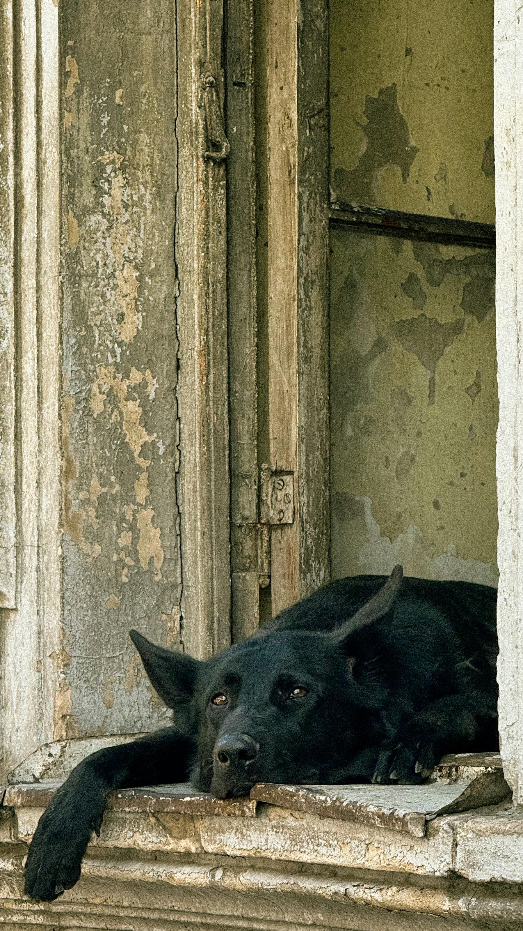 Boredom Photos, Download The BEST Free Boredom Stock Photos & HD Images