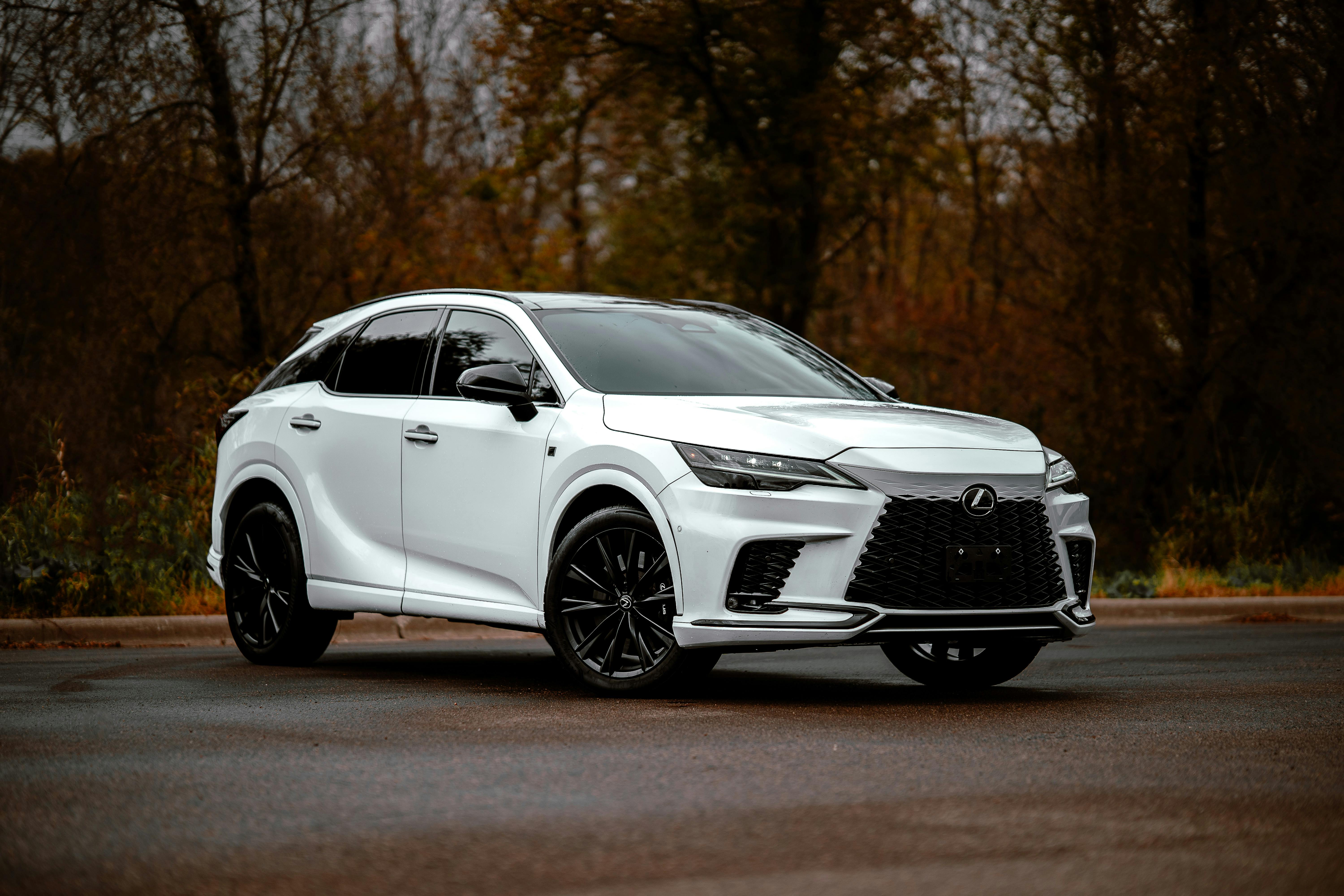 200.000+ [model Bilder und Fotos · Kostenlos Downloaden · Pexels Stock ...