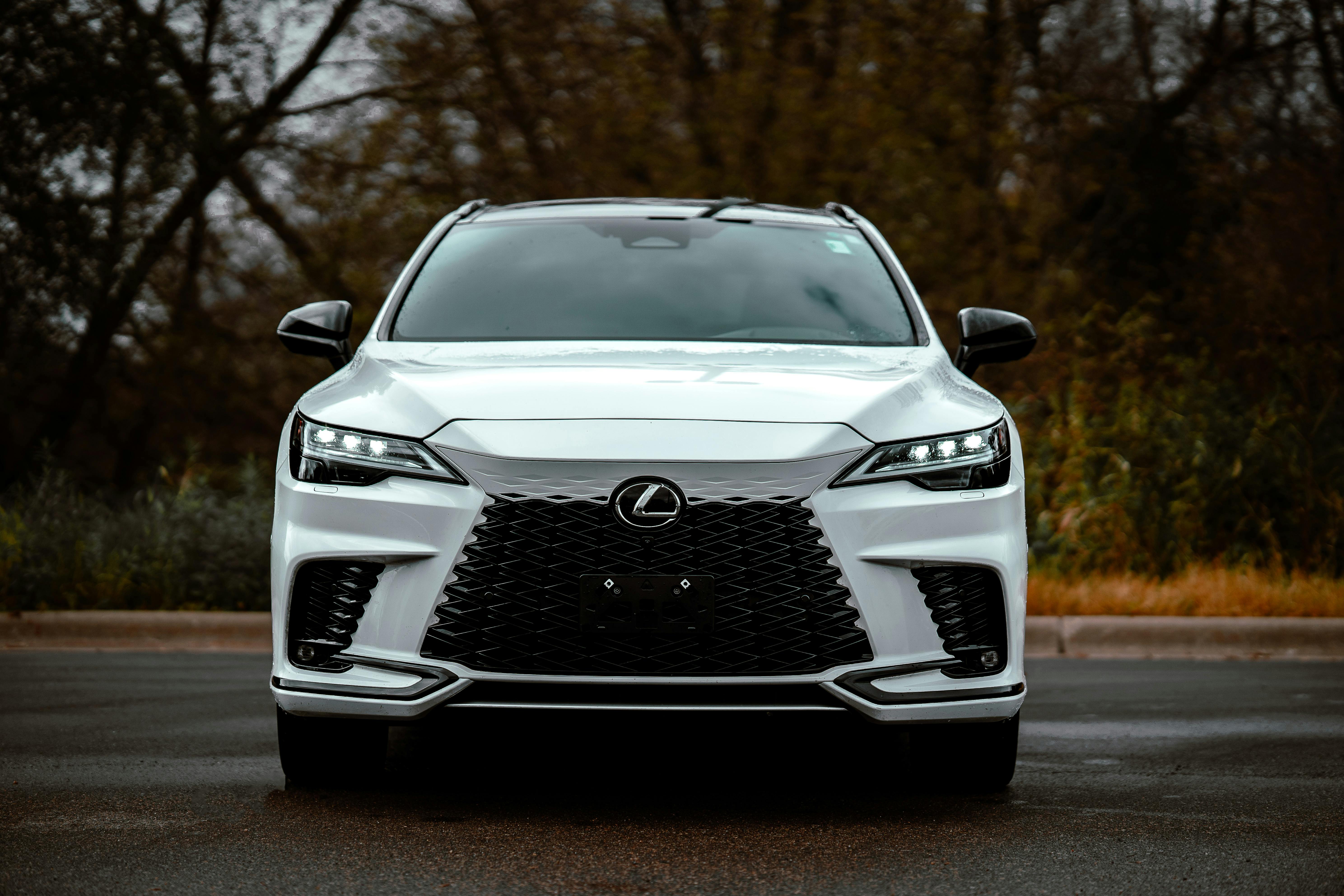 200.000+ [model Bilder und Fotos · Kostenlos Downloaden · Pexels Stock ...