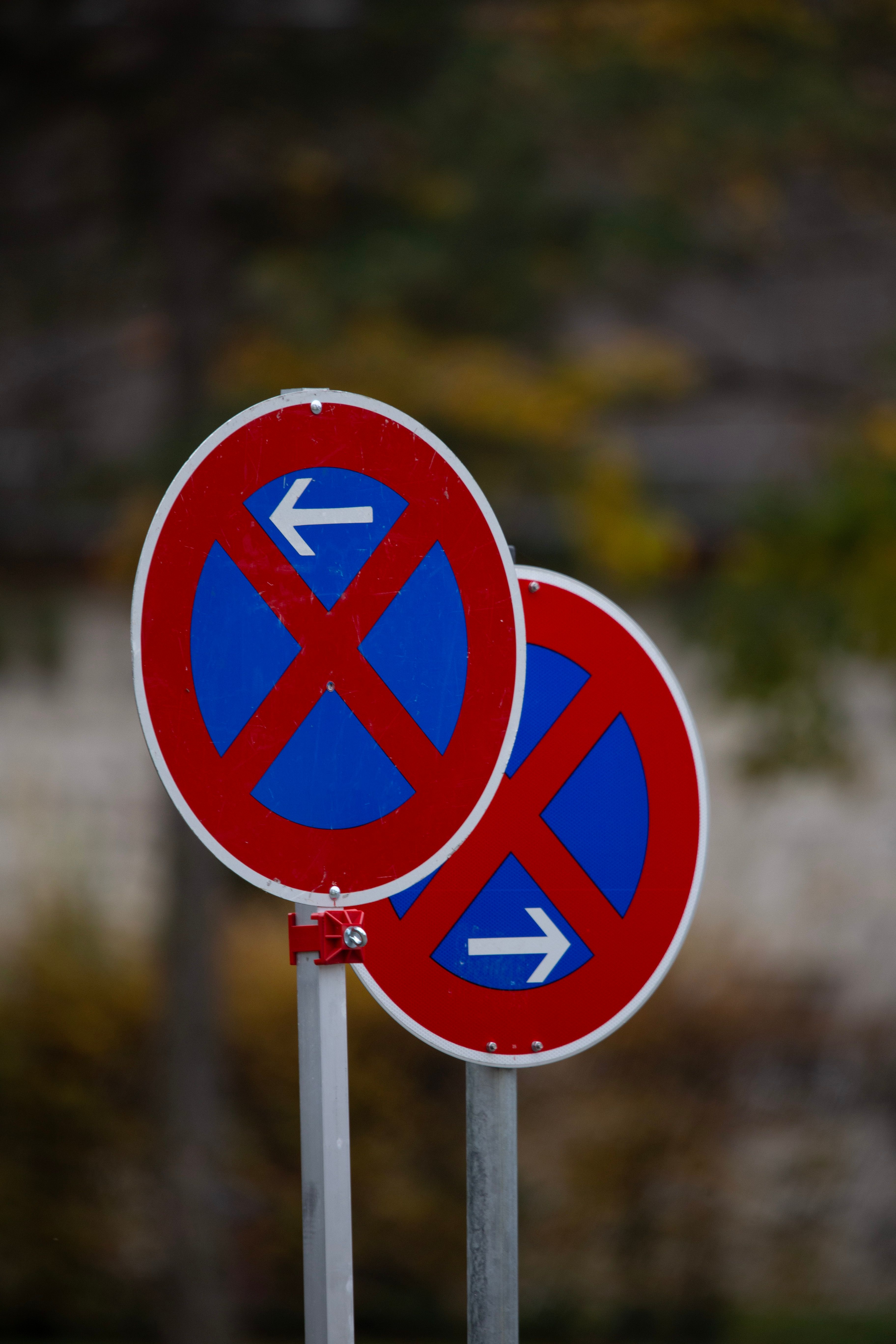 Red and Blue No Parking Traffic Signs Outdoors · Free Stock Photo