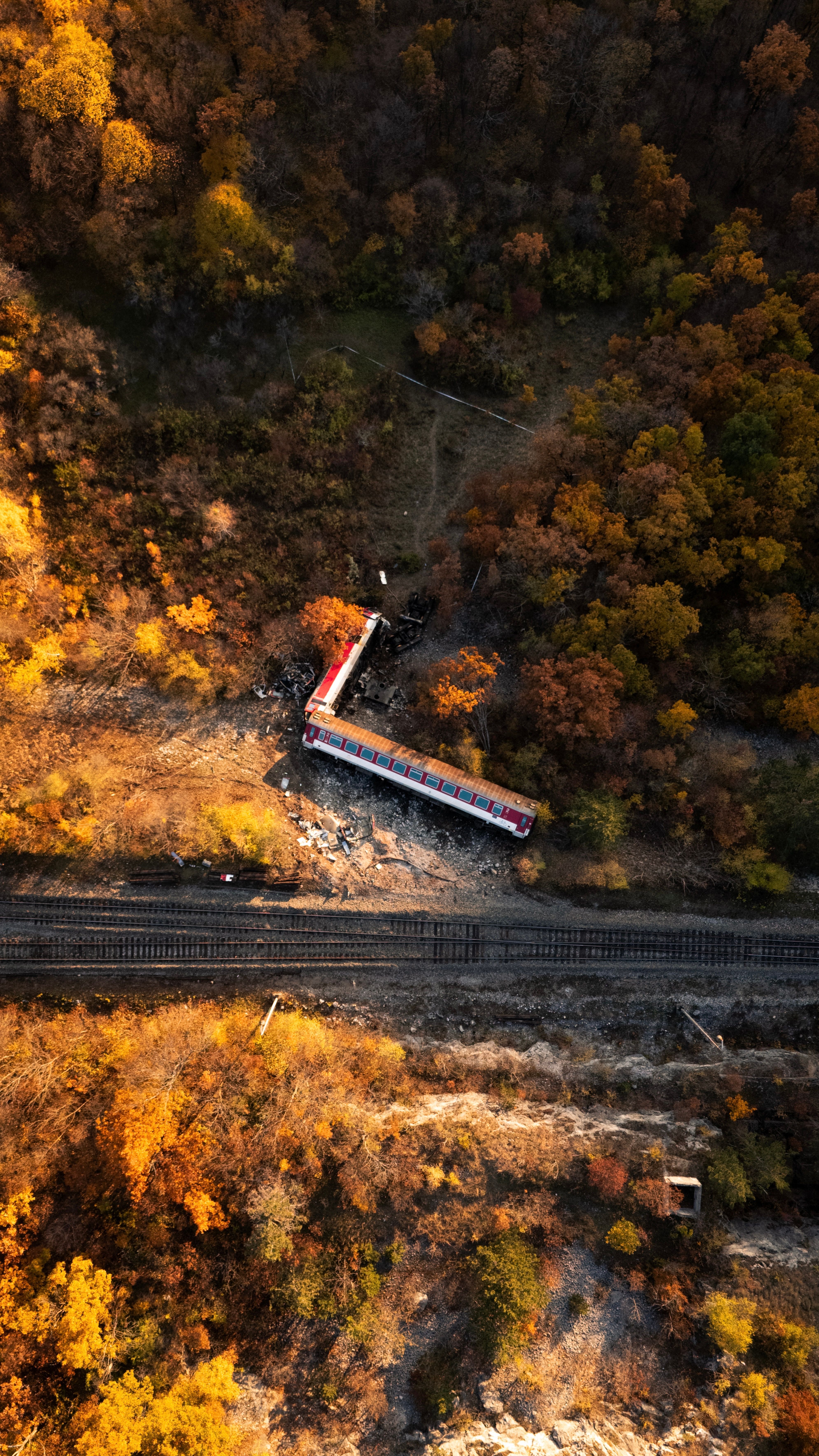 Aerial View of Train Accident Amidst Autumn Forest · Free Stock Photo