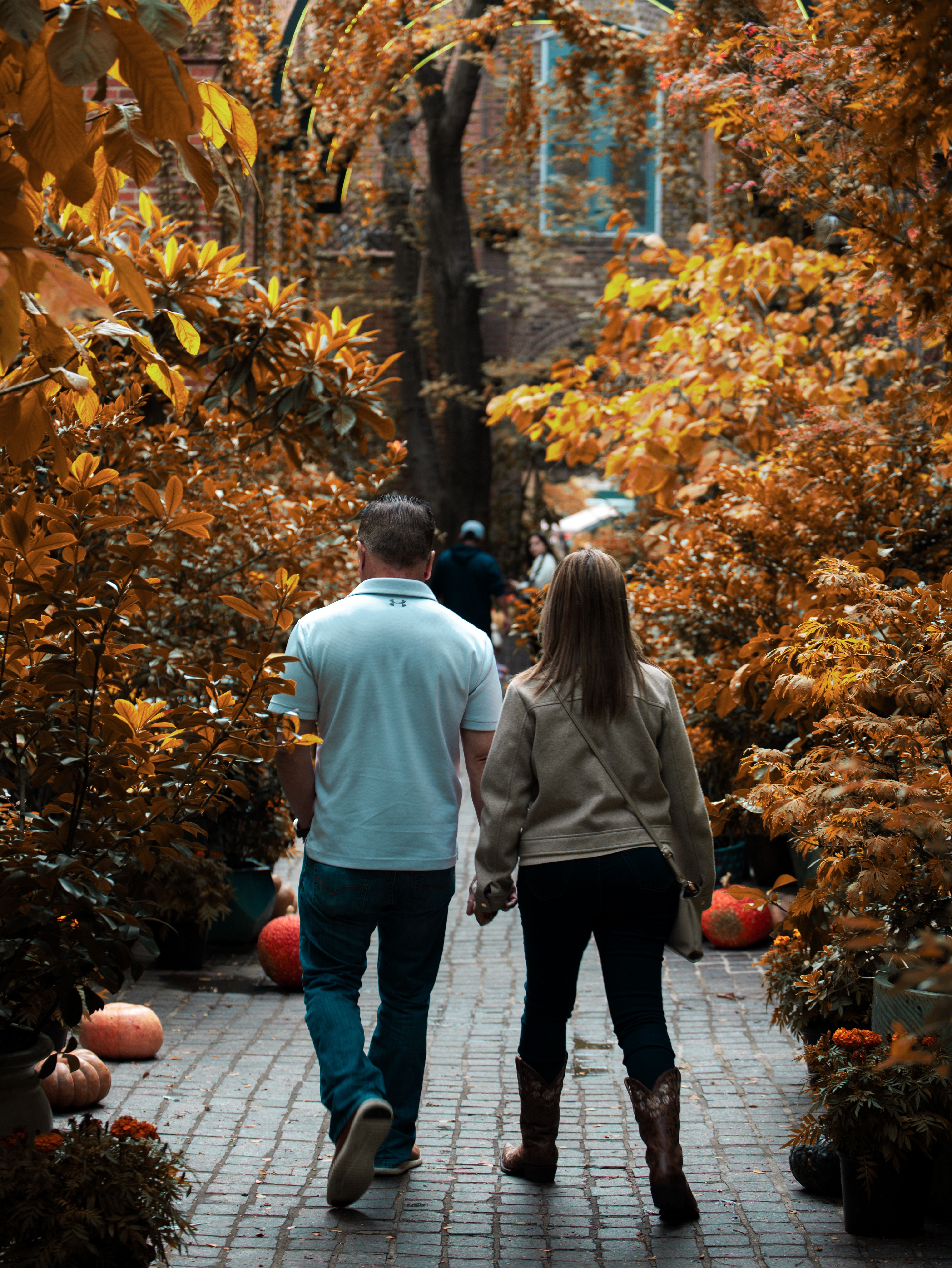 Couple Walking Hand in Hand Amidst Autumn Foliage · Free Stock Photo