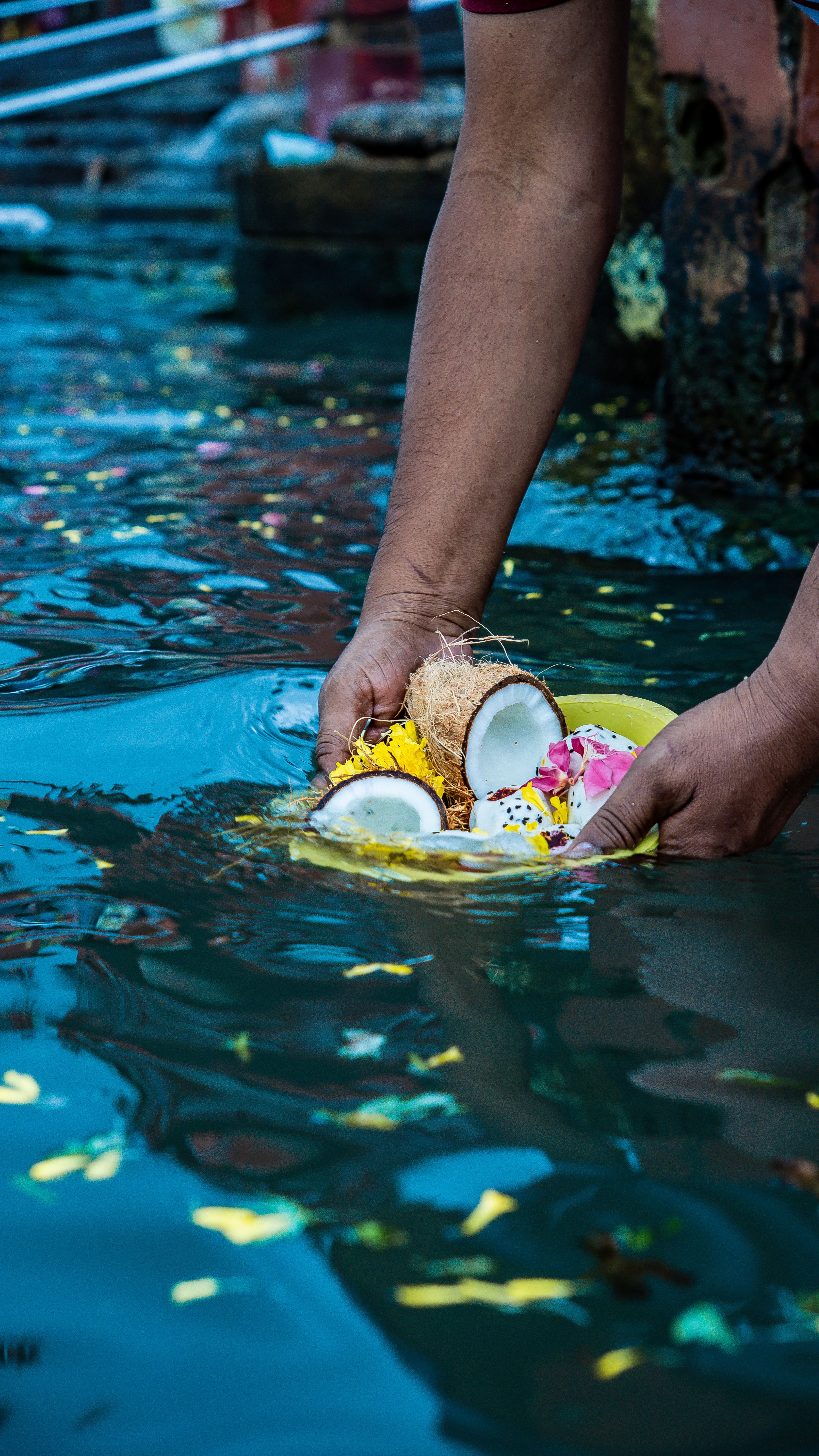 Offering Ritual in Sacred Waters at Rameswaram · Free Stock Photo