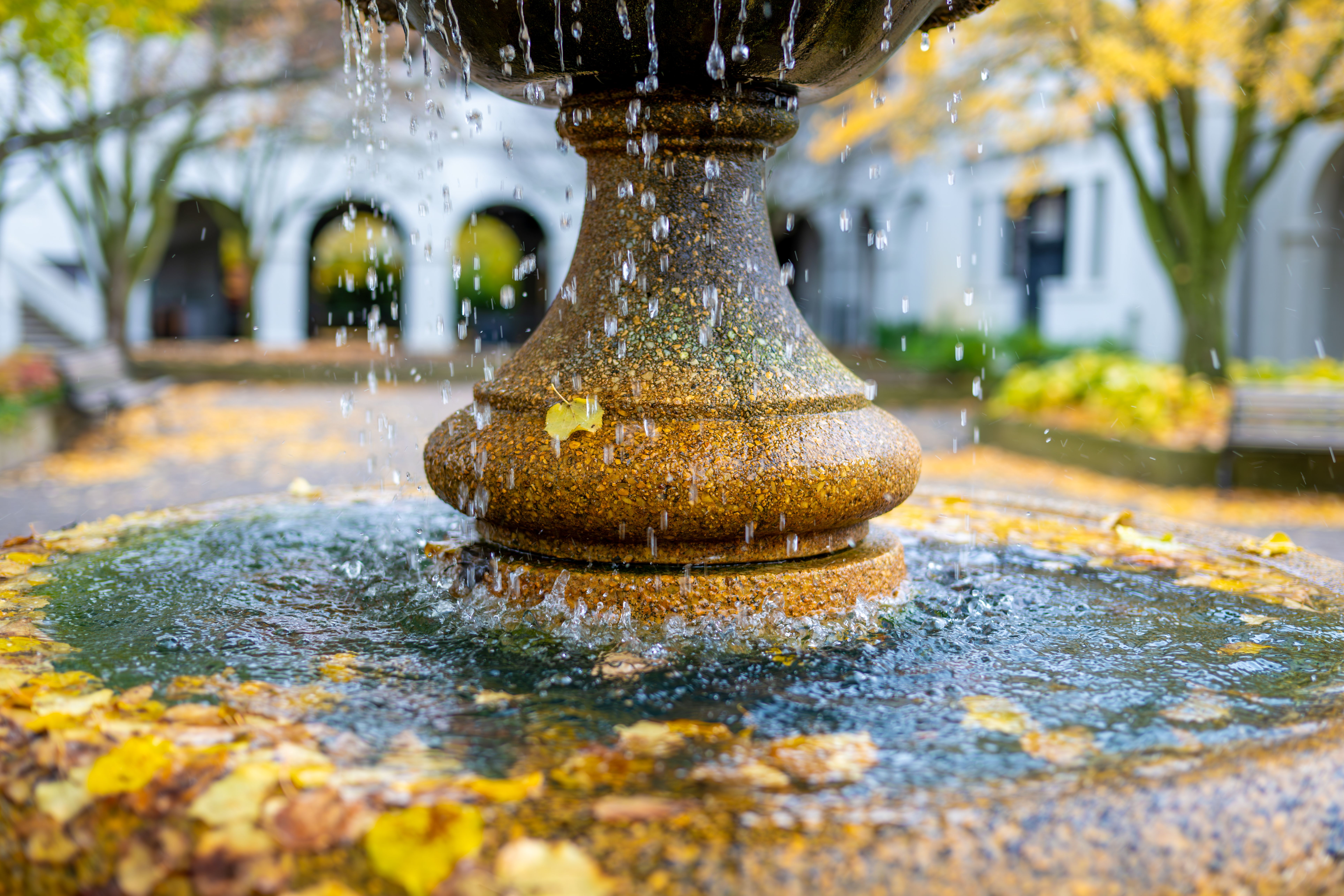 Serene Autumn Fountain with Falling Leaves · Free Stock Photo