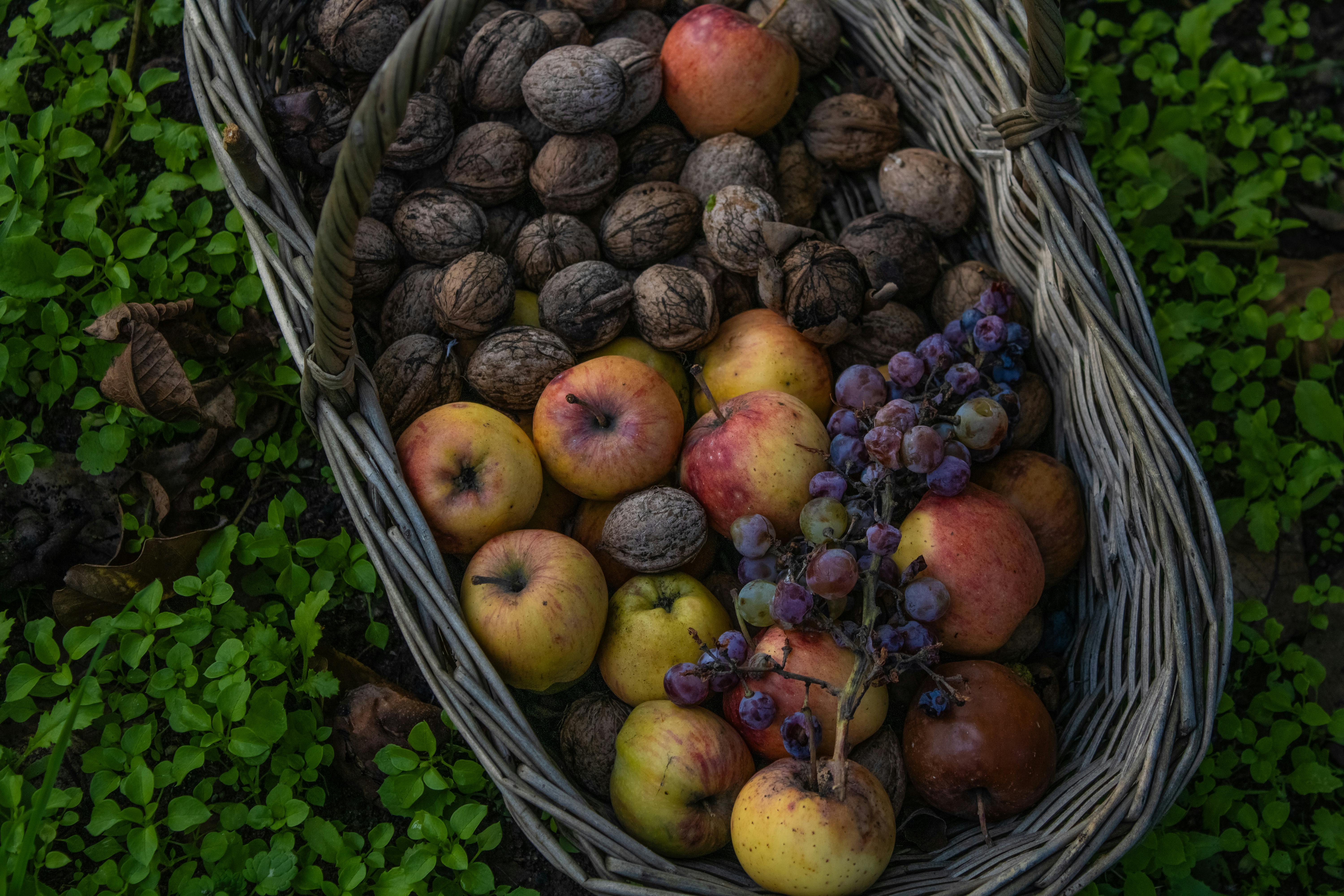 10.000+ C+фото+текс Bilder und Fotos · Kostenlos Downloaden · Pexels ...