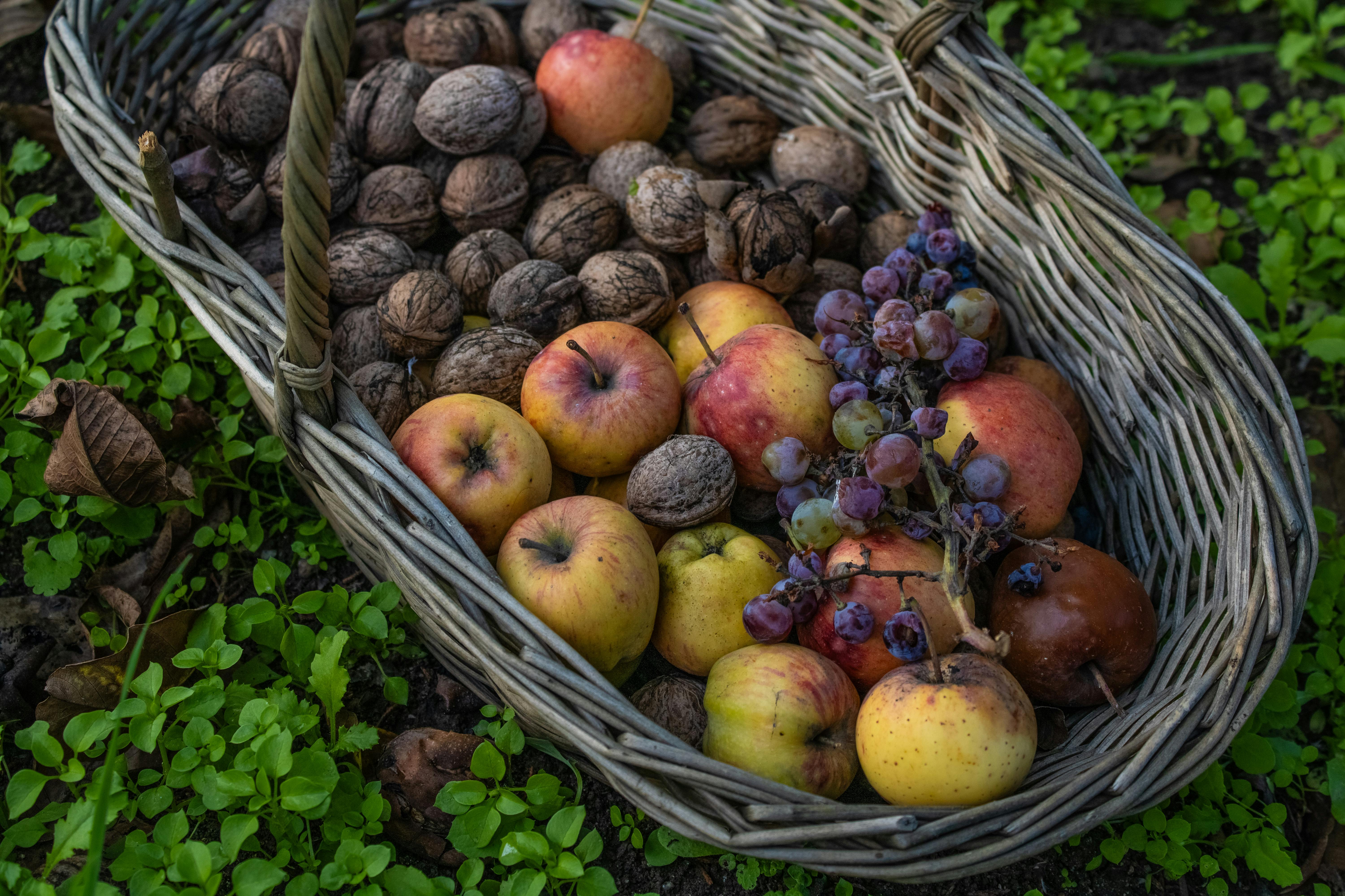 20,000+ 張最佳 Crea-un-video-ai-da-una-tua-foto-con-chatgpt-e-kling-ai ...