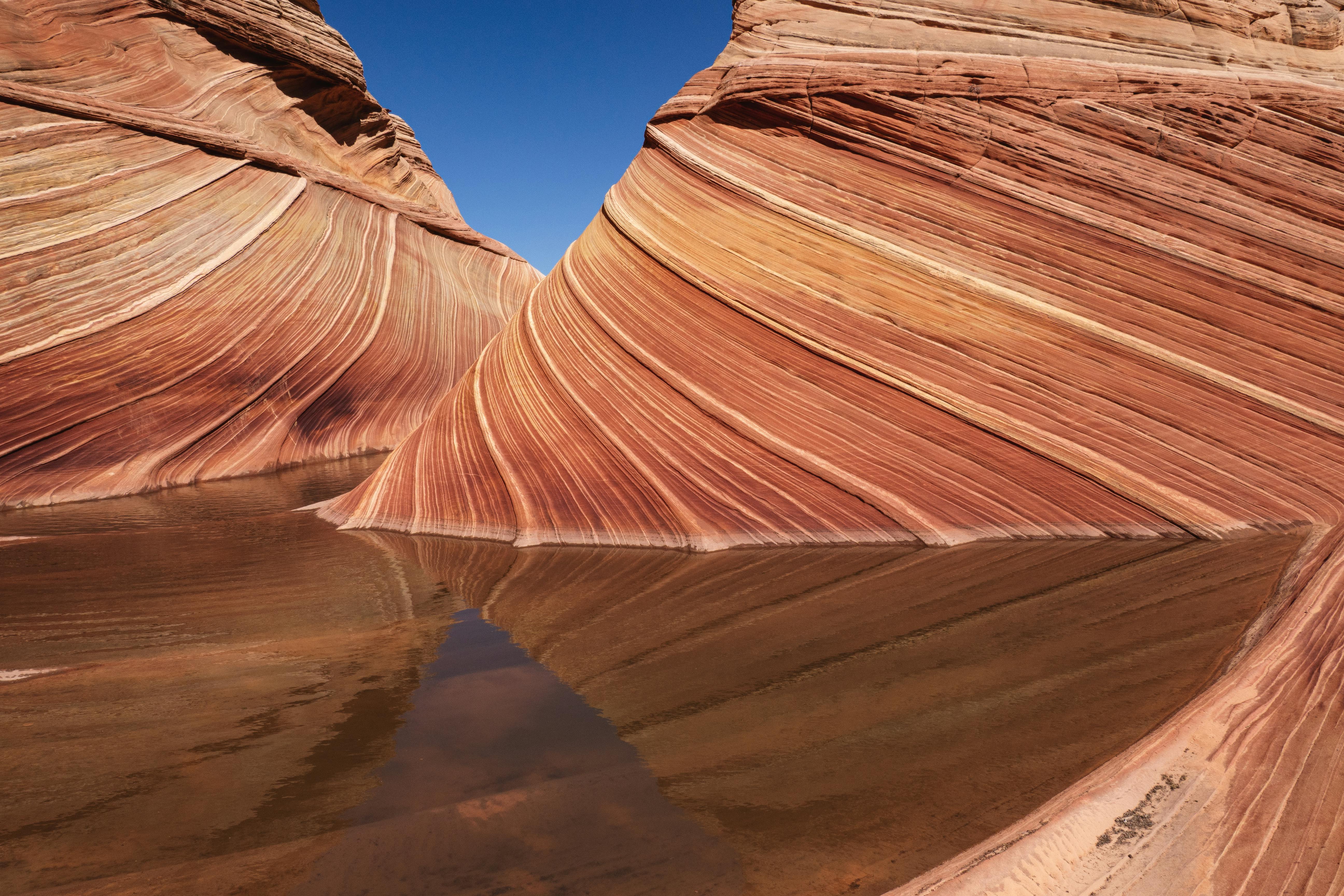 Mesmerizing Sandstone Formations of The Wave · Free Stock Photo
