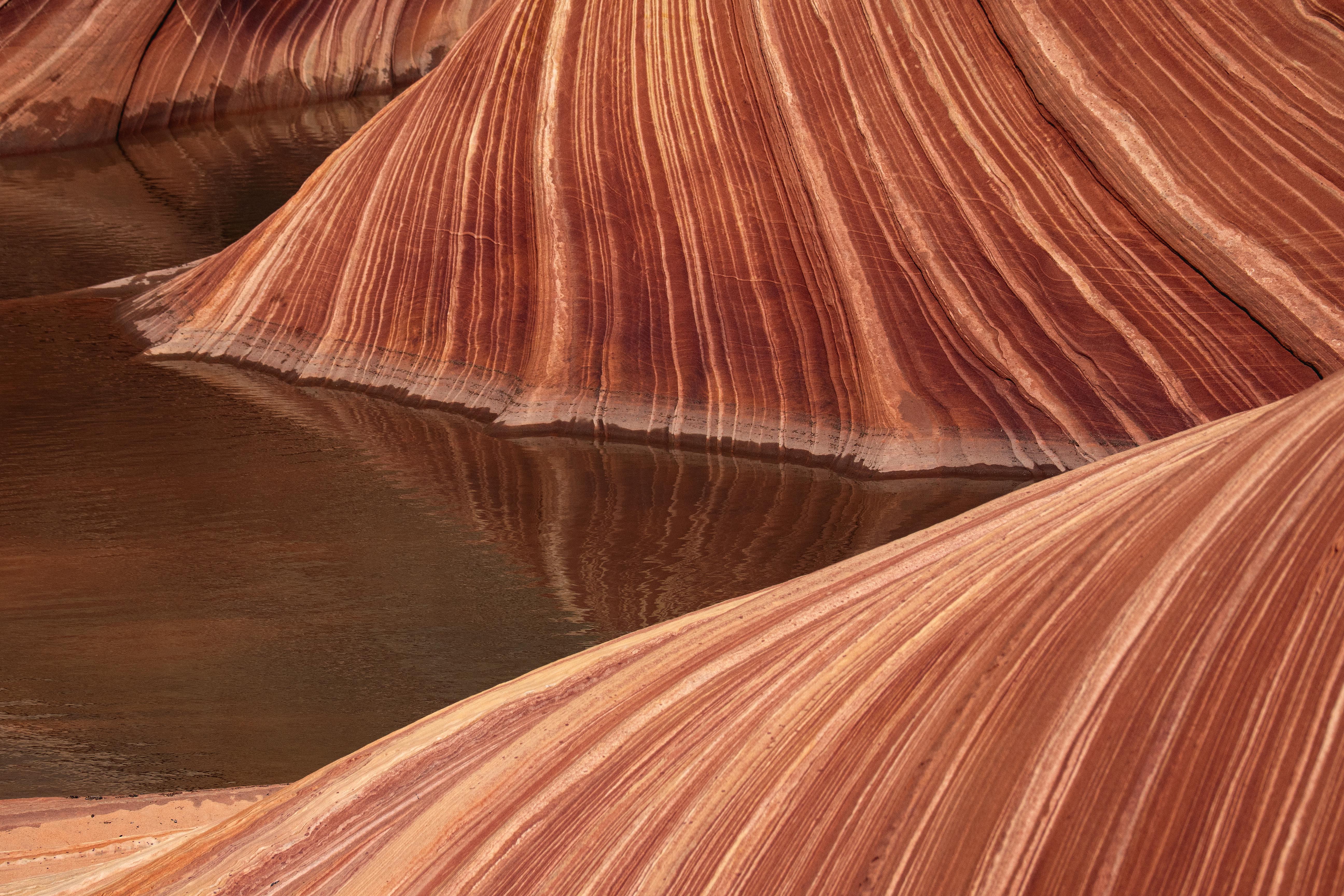 Mesmerizing Sandstone Formations at The Wave · Free Stock Photo