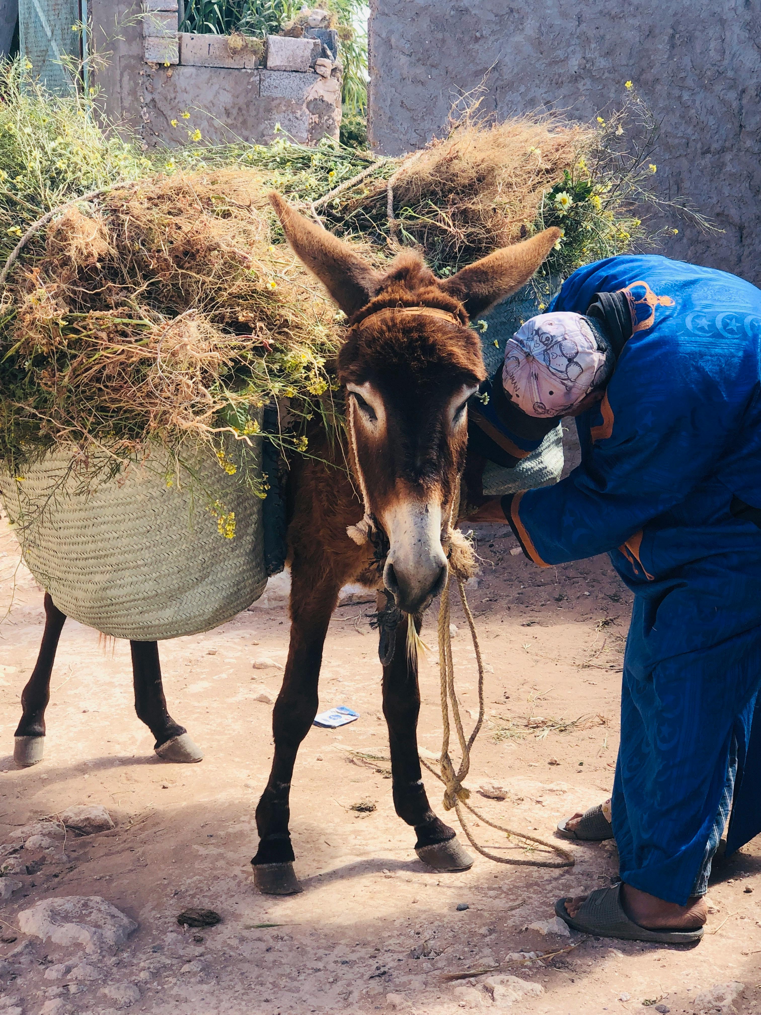 Real People Photos, Download The BEST Free Real People Stock Photos ...