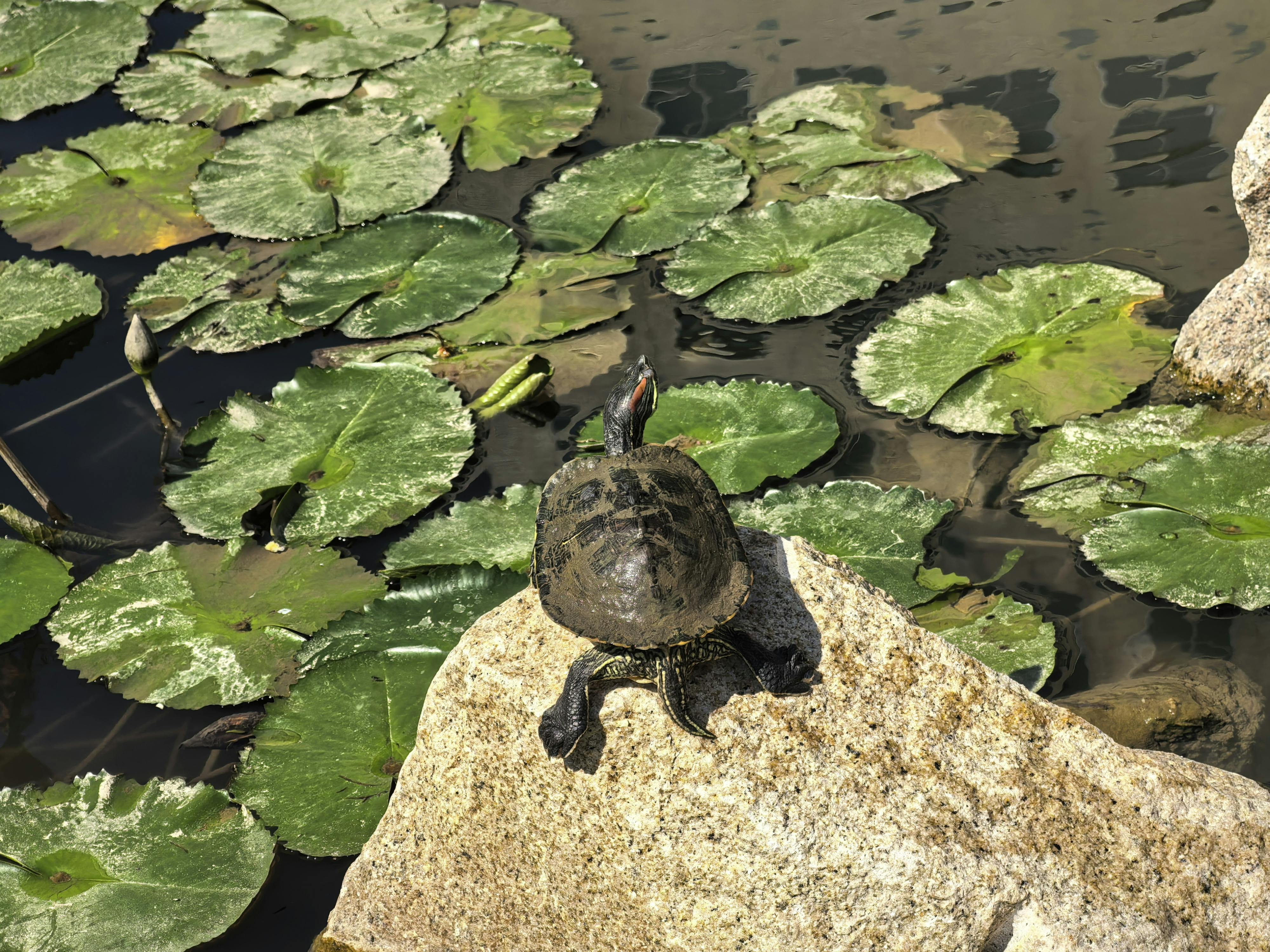 A legjobb 200 000+ Free-virtual-keyboard-free-download-and-install-on ...