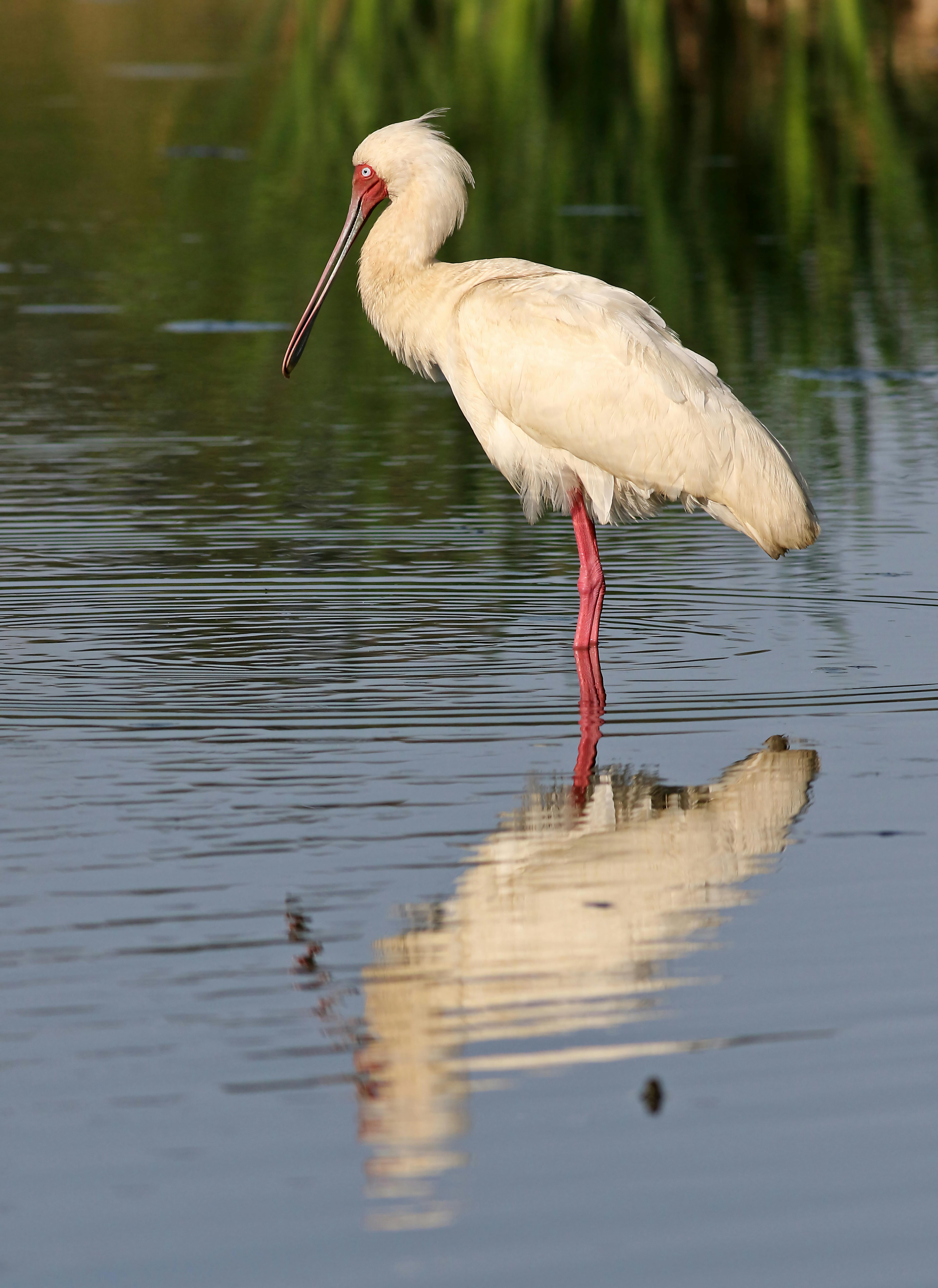 100.000+ Alba+colegiala+beach Bilder und Fotos · Kostenlos Downloaden ...