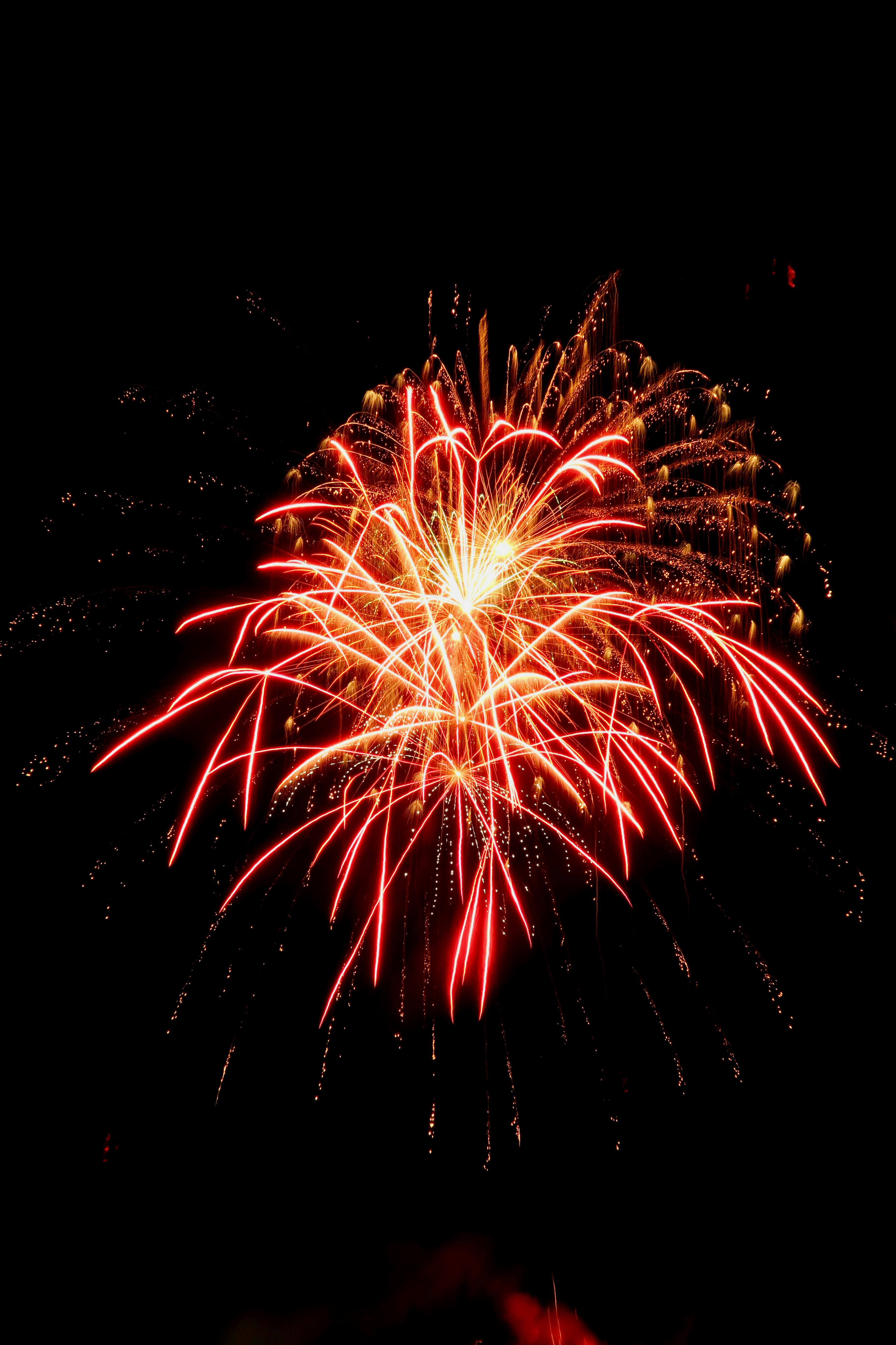 Brilliant Red Fireworks Illuminating the Night Sky · Free Stock Photo