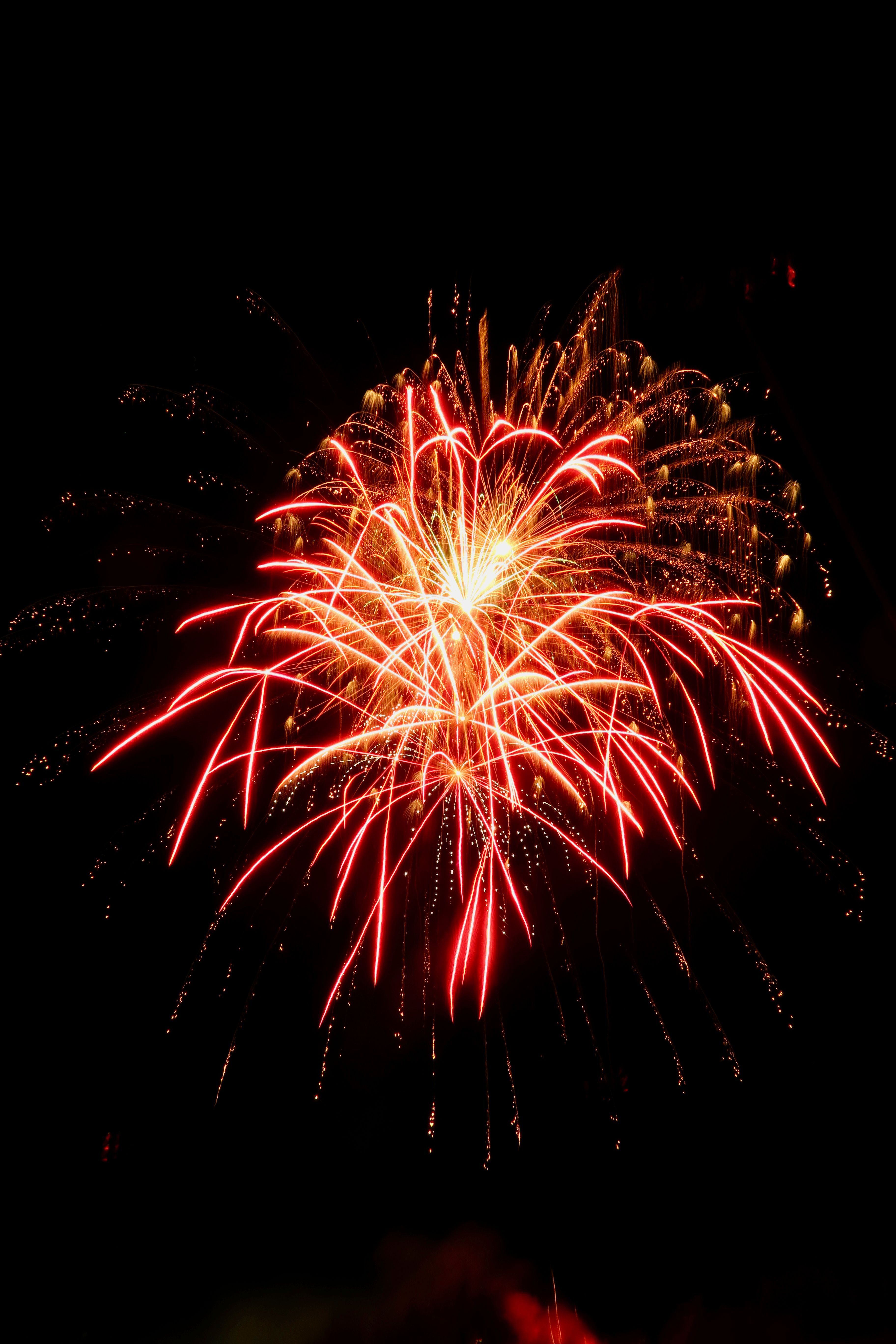 Brilliant Red Fireworks Illuminating the Night Sky · Free Stock Photo