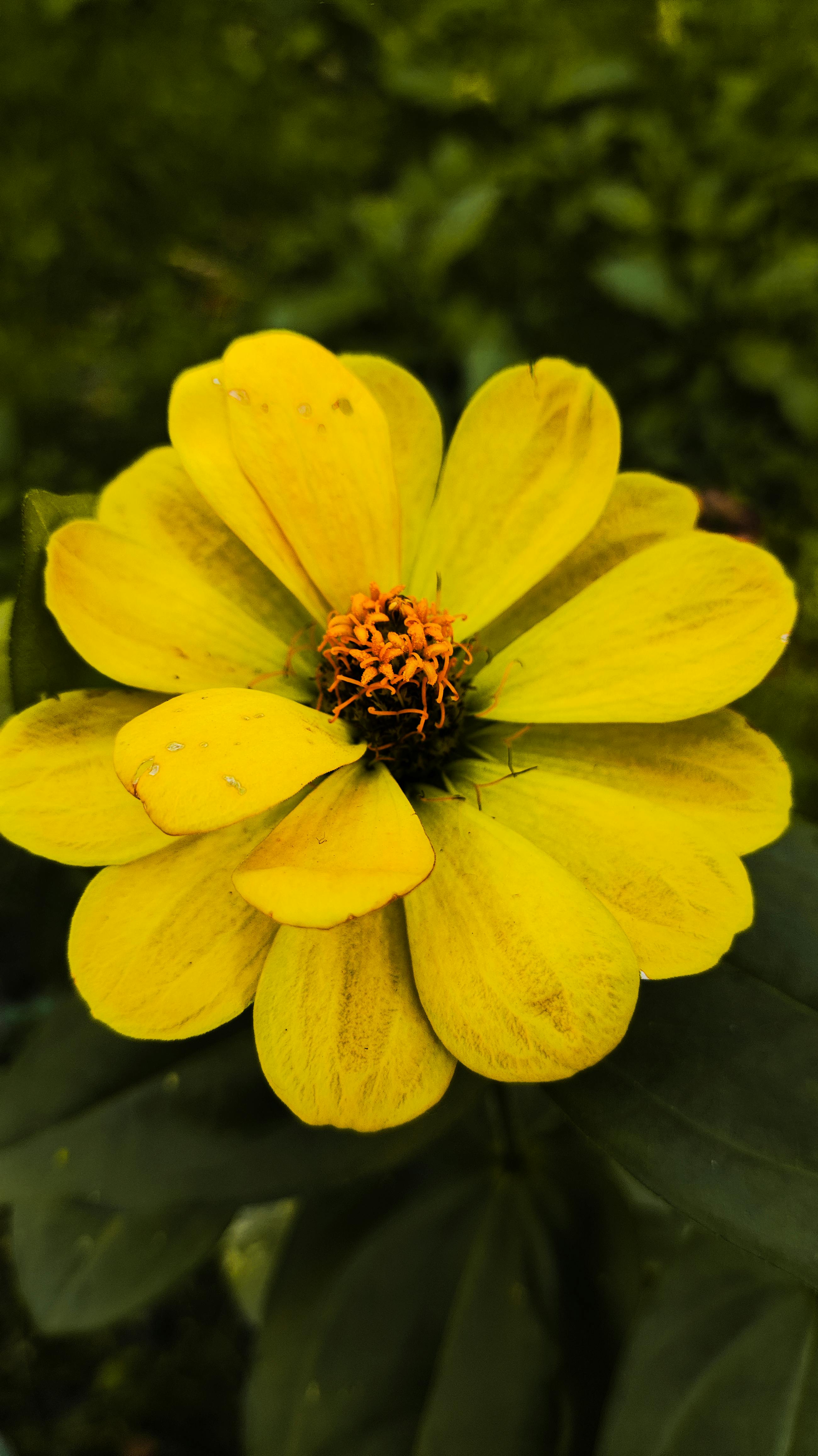 400.000+ beste How-to-use-creative-commons-to-find-free-images foto's ...