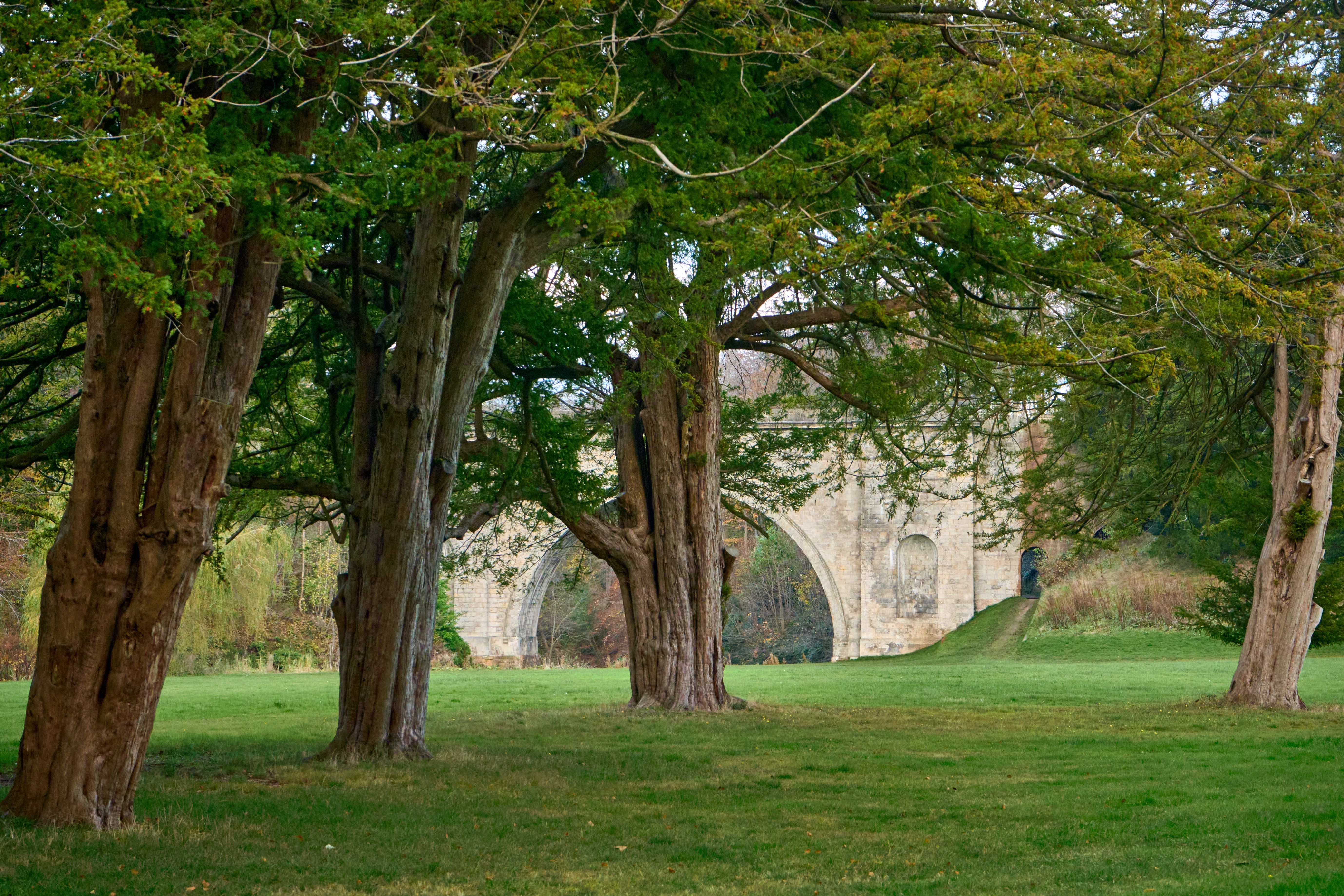 Historic Stone Arch Bridge in Scottish Woodland · Free Stock Photo